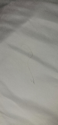 Hair under the comforter