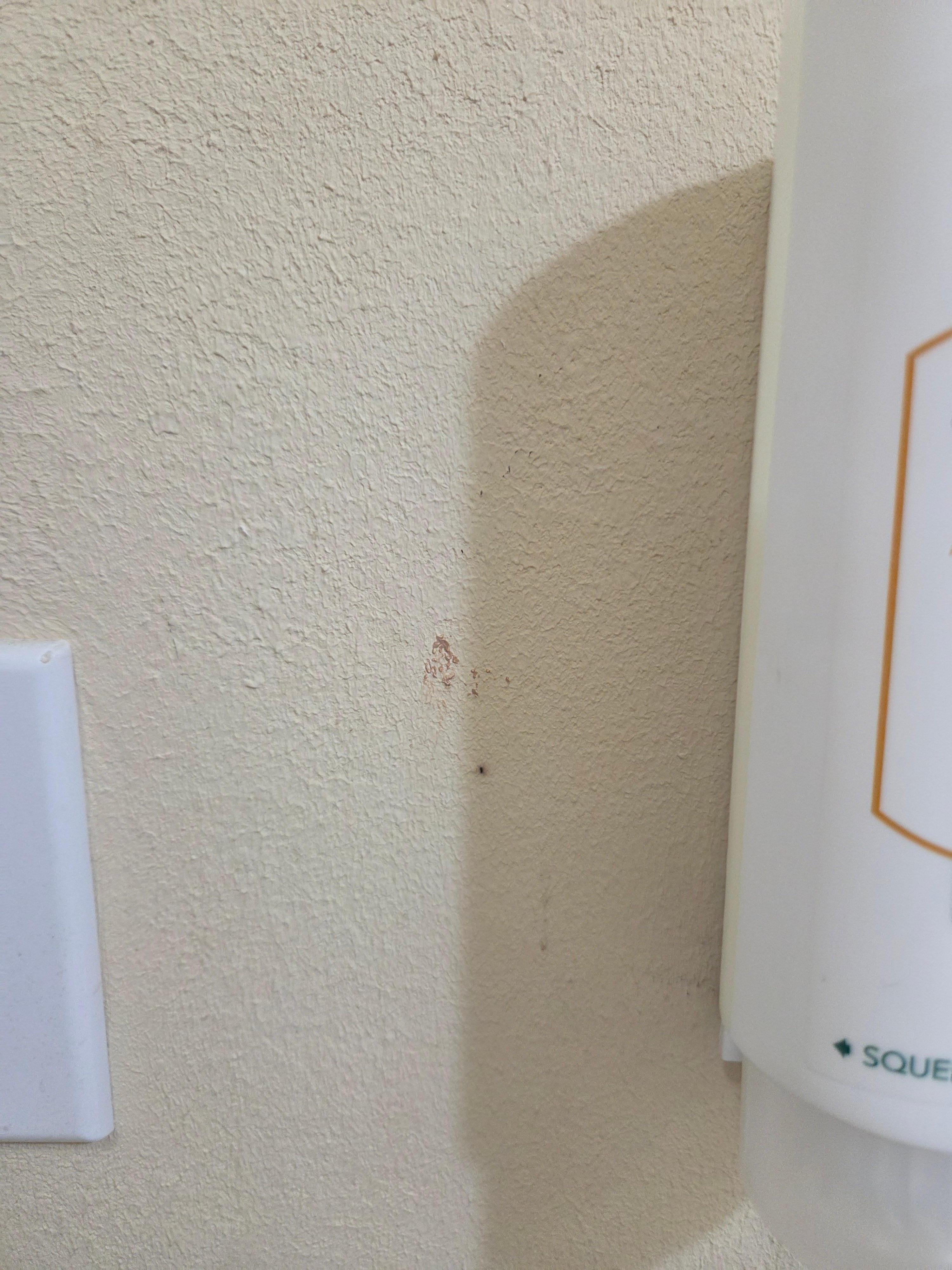 Just one dirty spot of many on the bathroom wall.