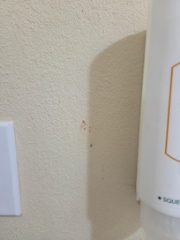 Just one dirty spot of many on the bathroom wall.