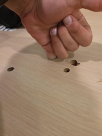 This is a photo of the desk