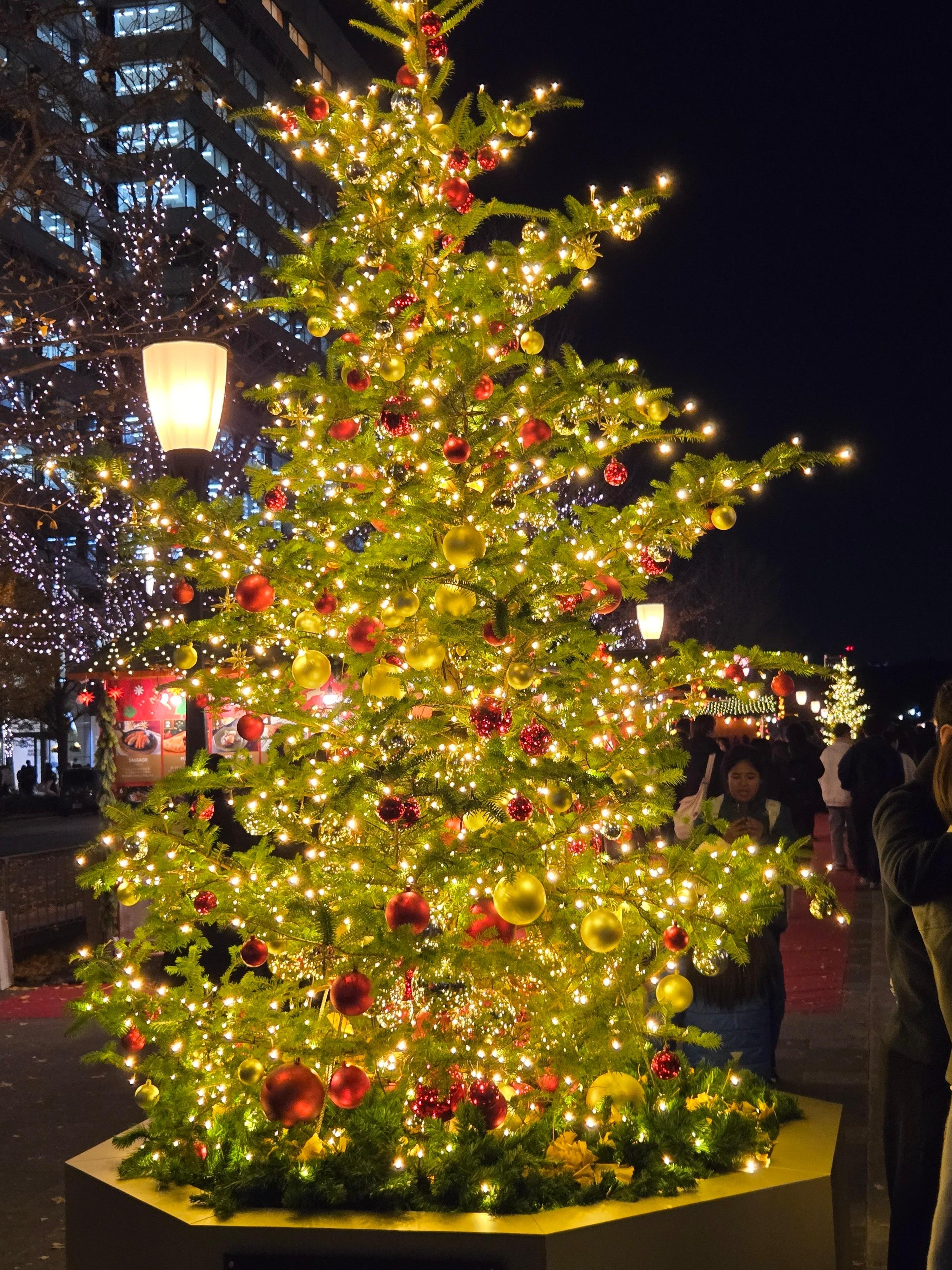 クリスマスのイルミネーションが,あちこちにあって、楽しく見て  回れました。