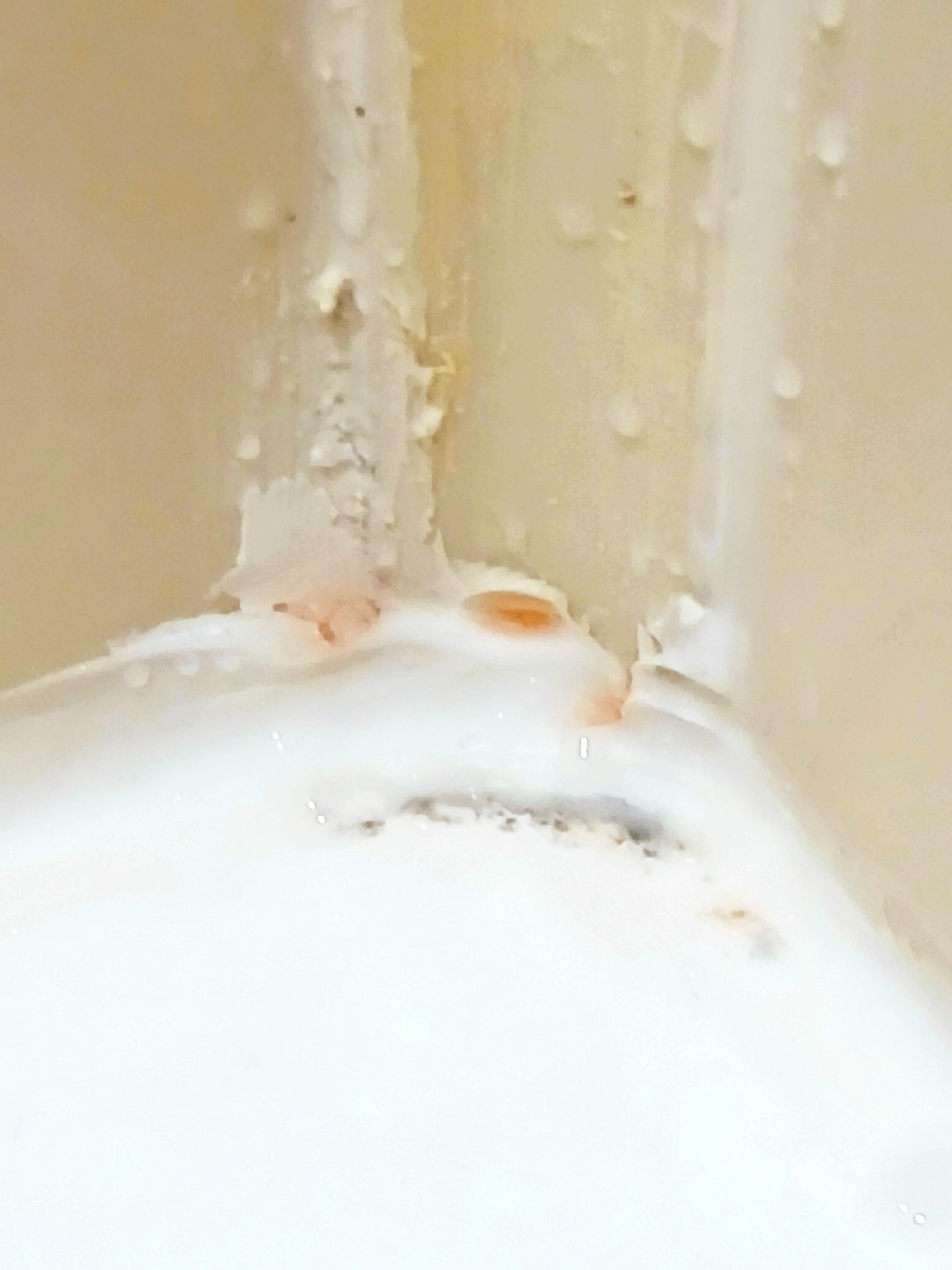 Premium shower issues