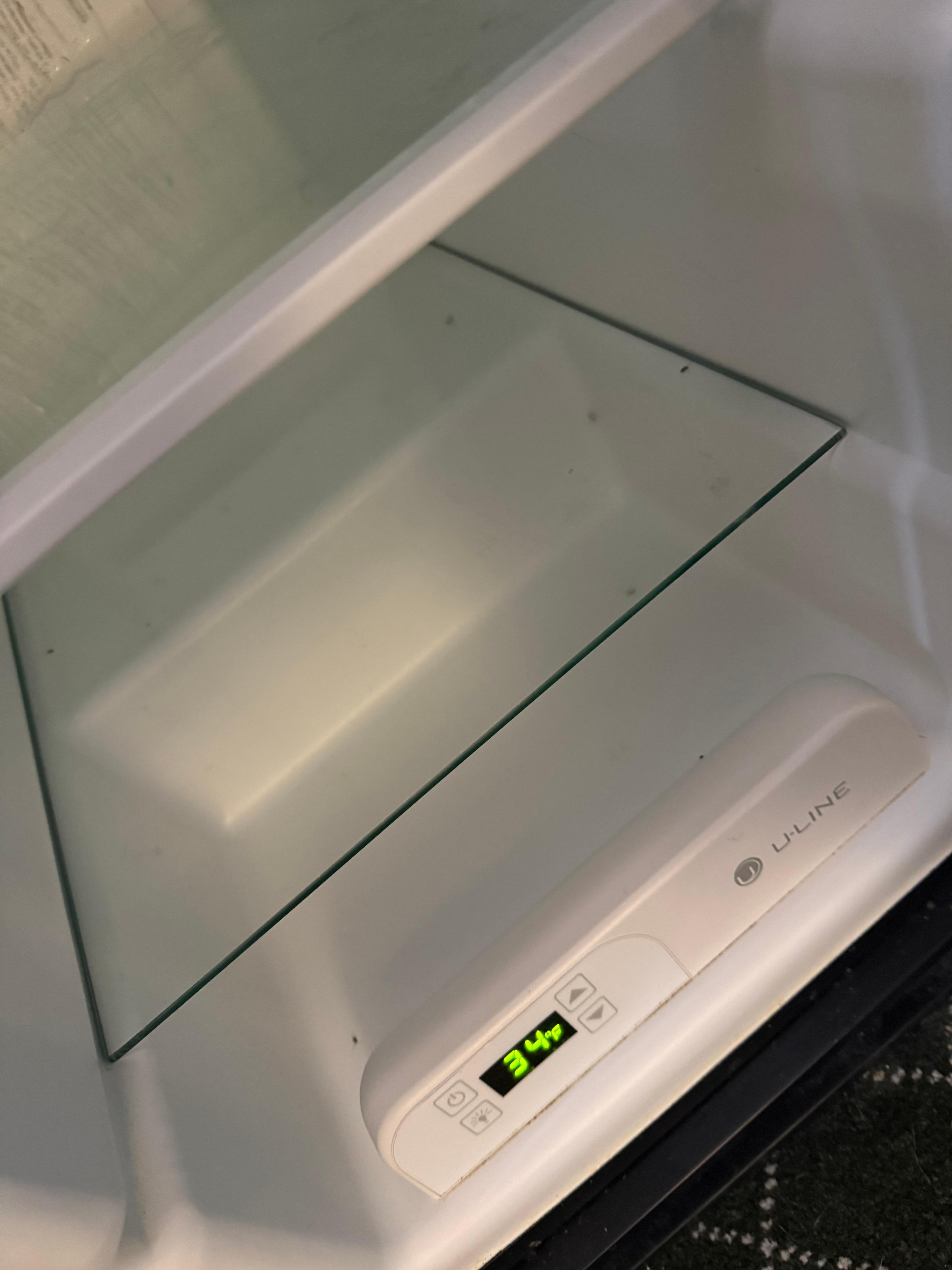 More roaches inside the mini fridge.