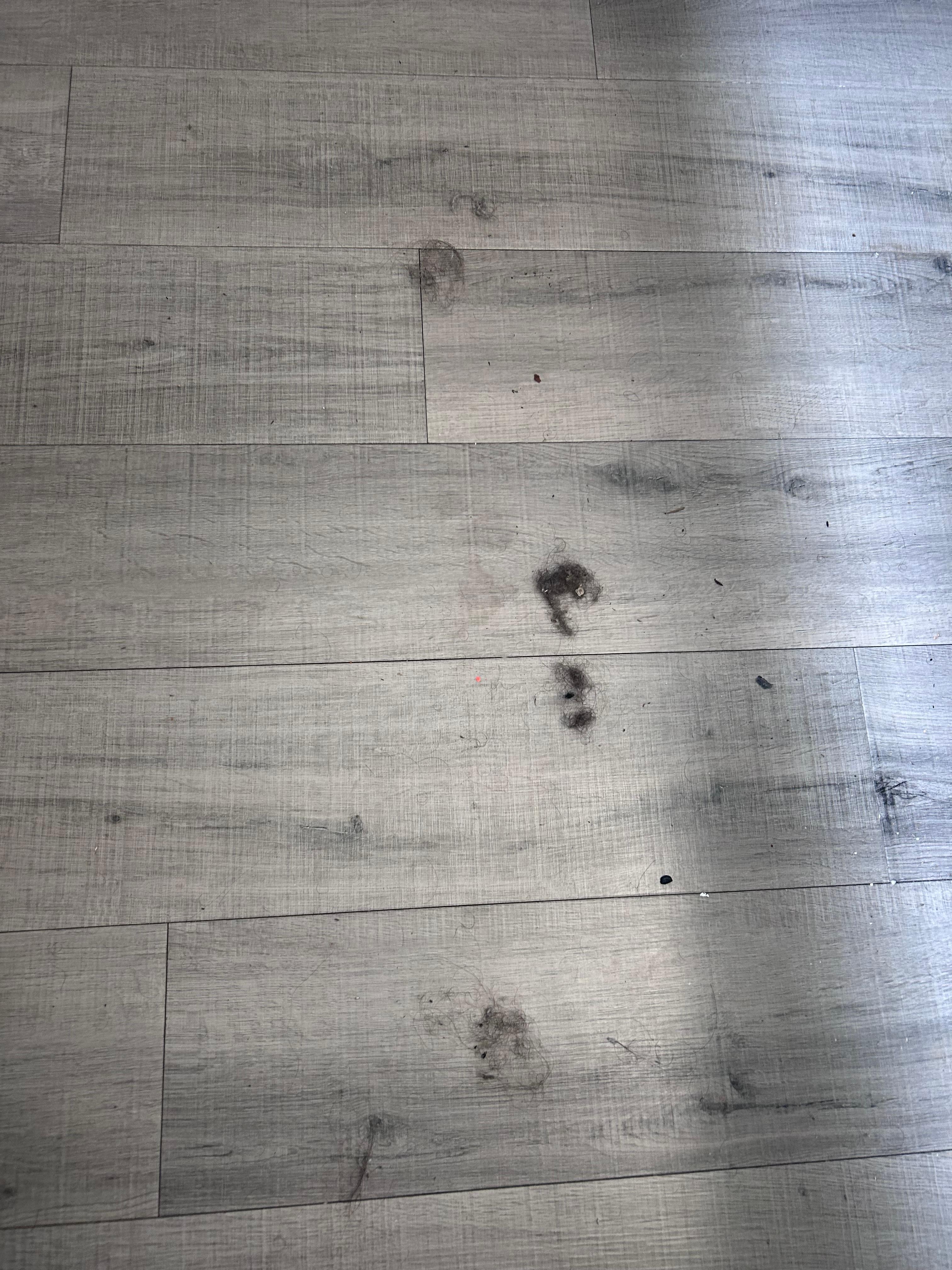 Pubic hair and dust in the bedroom 