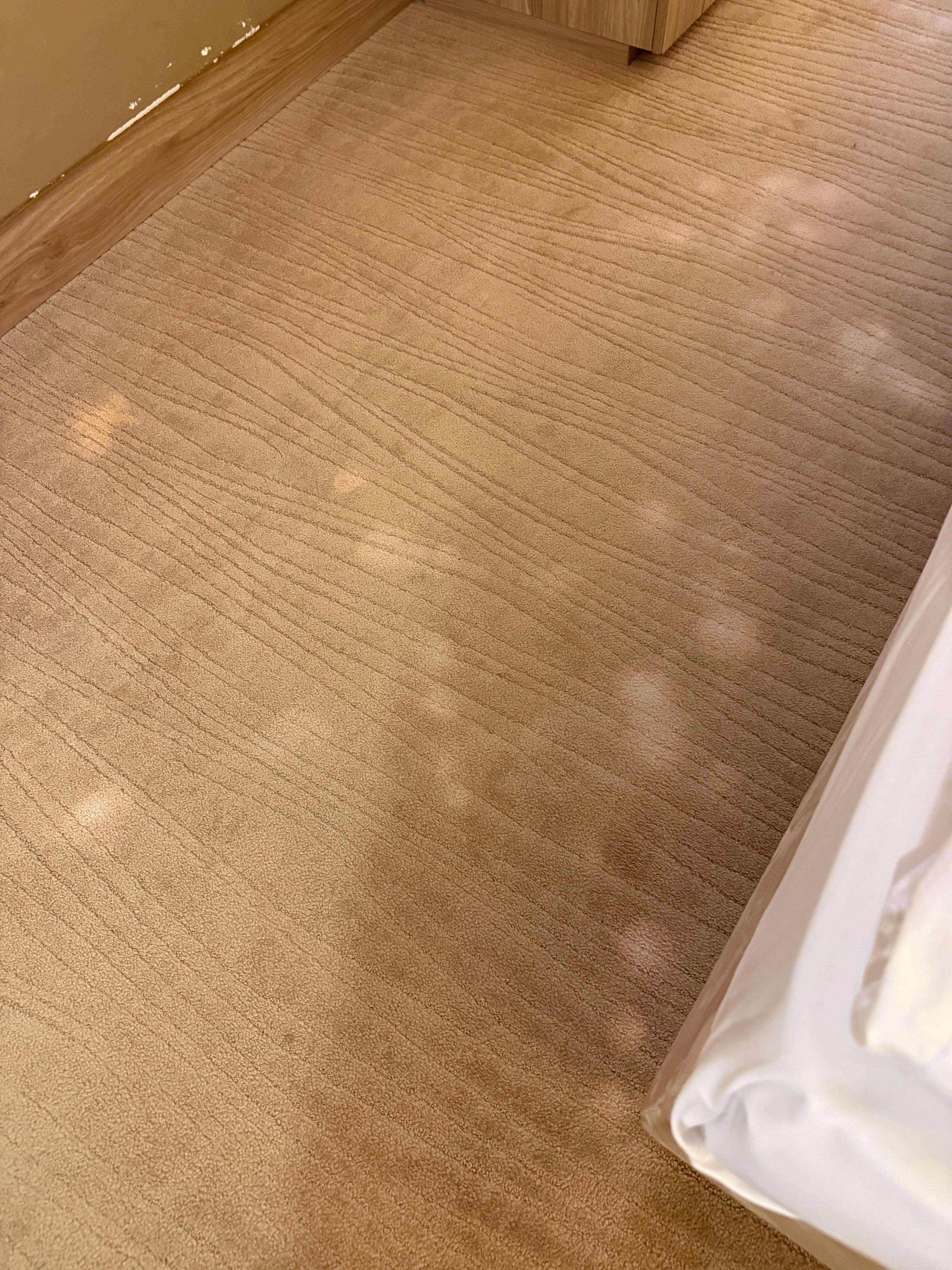 Stained carpets