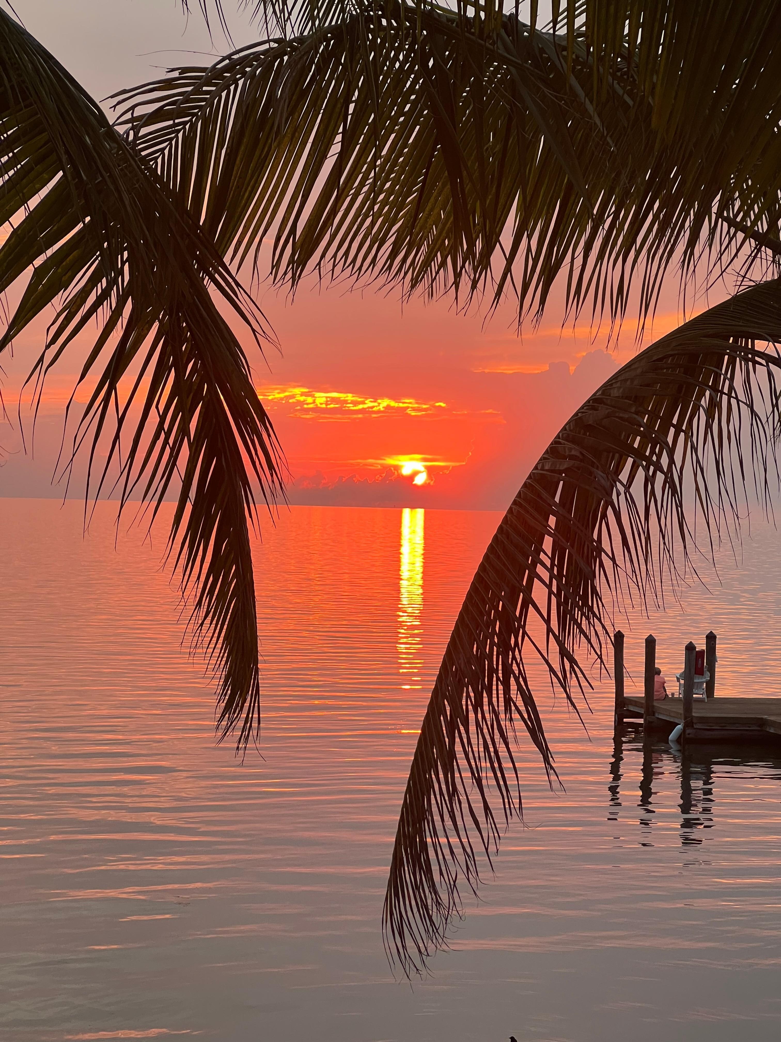 Lime Tree Bay Resort in Long Key: Find Hotel Reviews, Rooms, and Prices ...