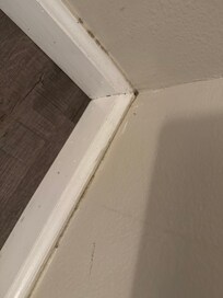 Floor boards look like they have never been cleaned