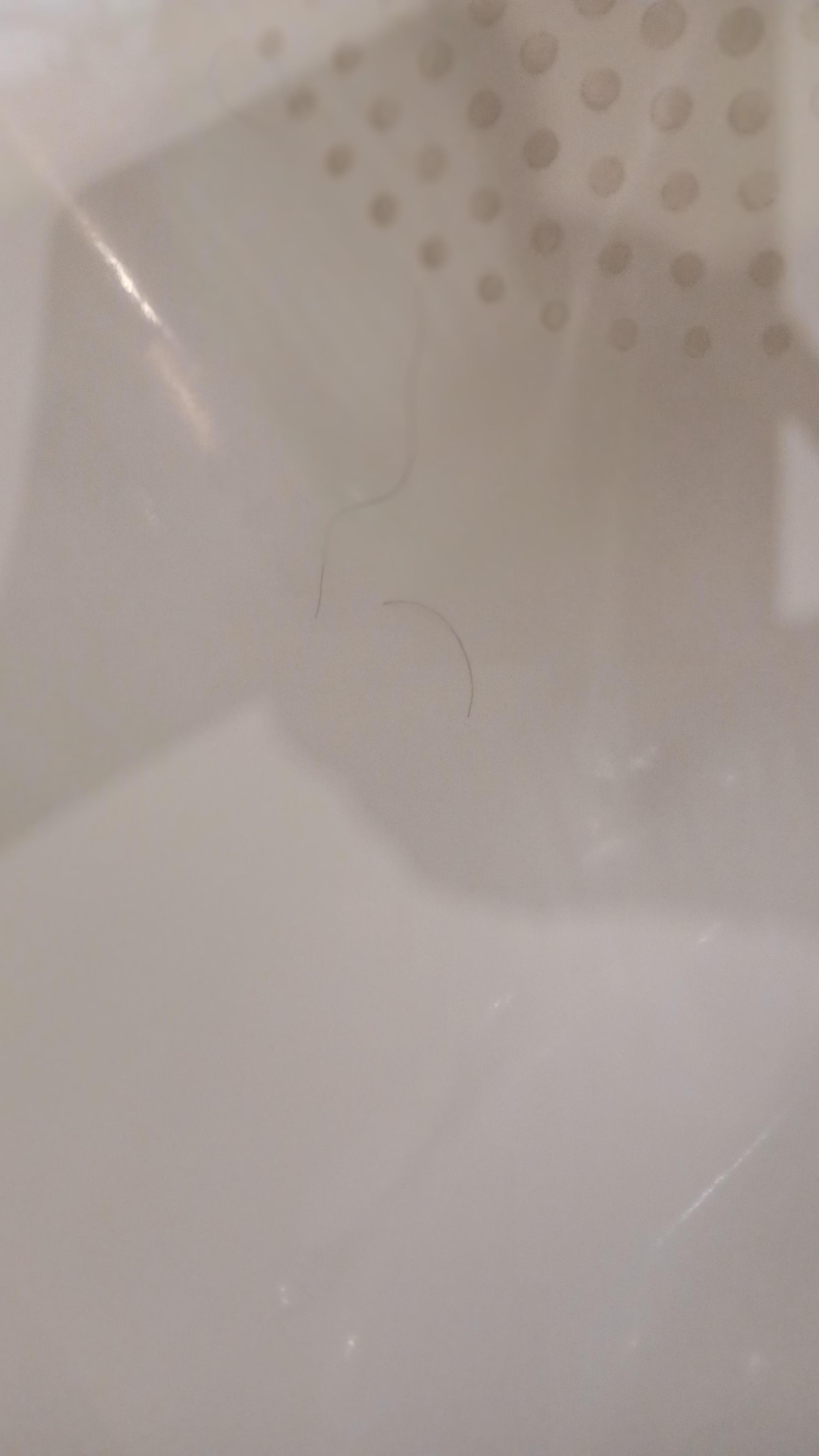 Hairs  in the bath 