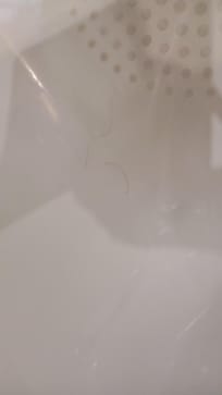 Hairs in the bath