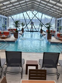 Indoor pool area with a bar area
