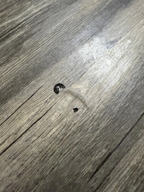 More stuff stuck to the floor