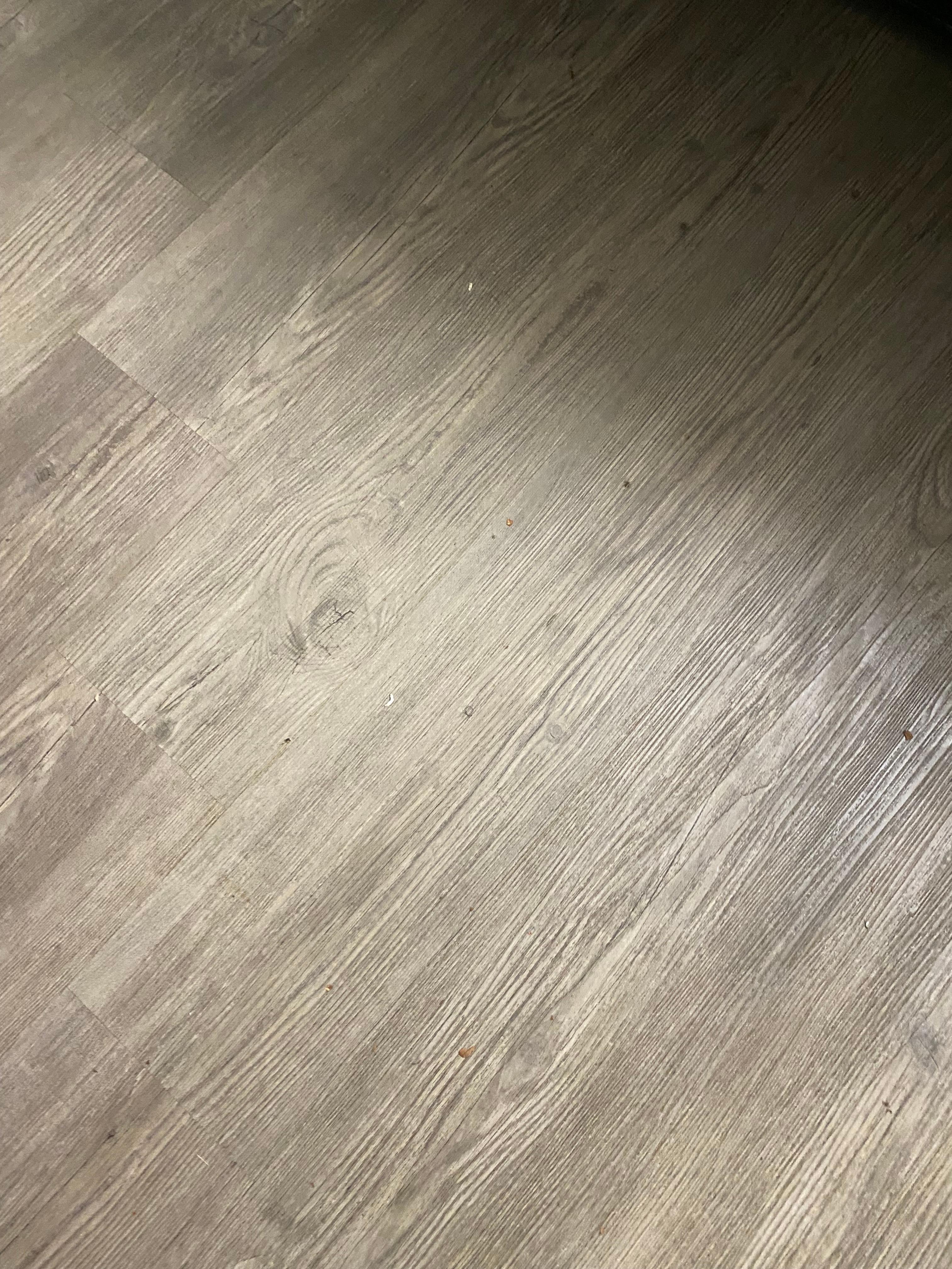 Unswept and unmopped floor left our feet black