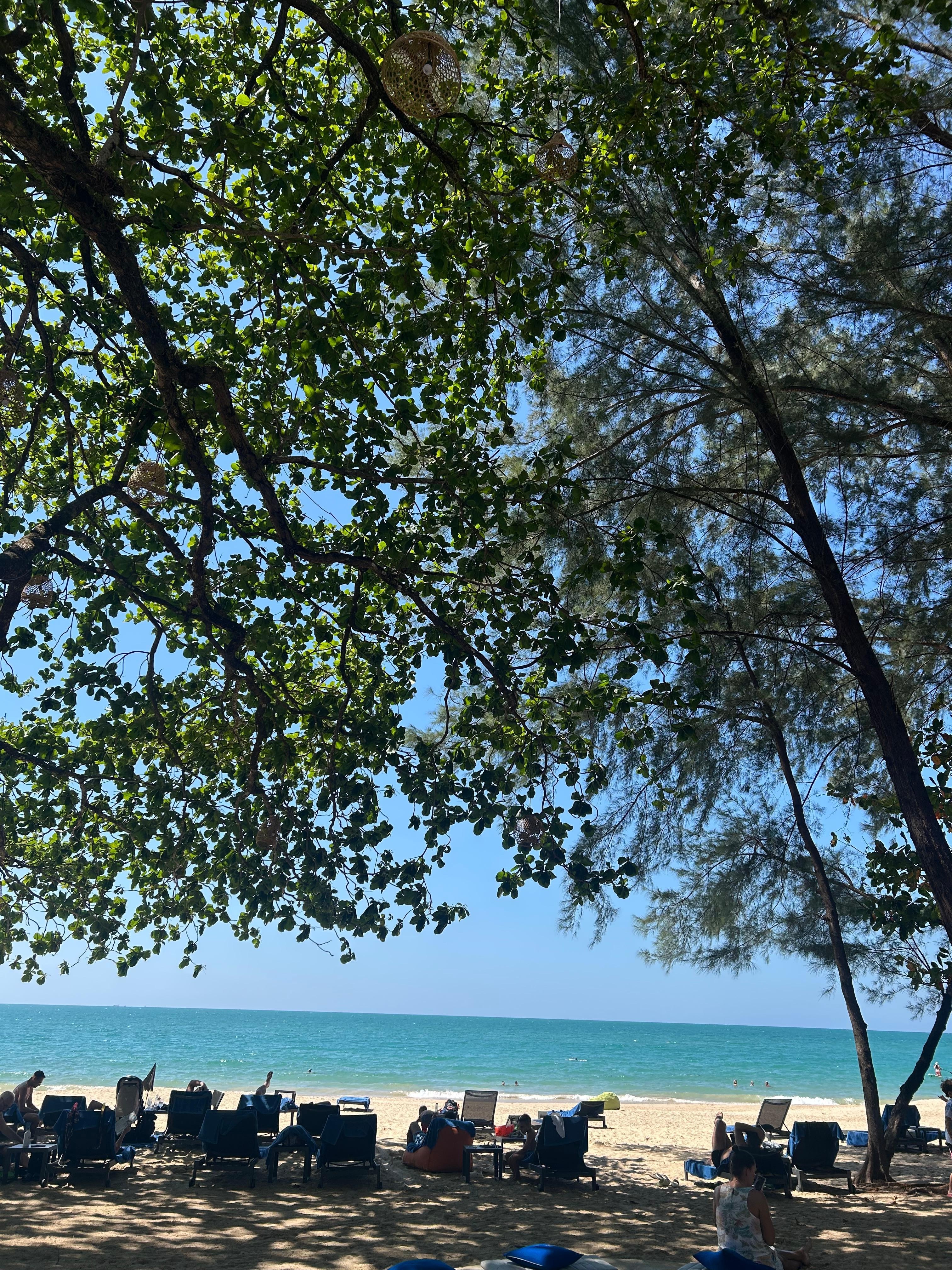 Utsikt från strandrestaurangen
