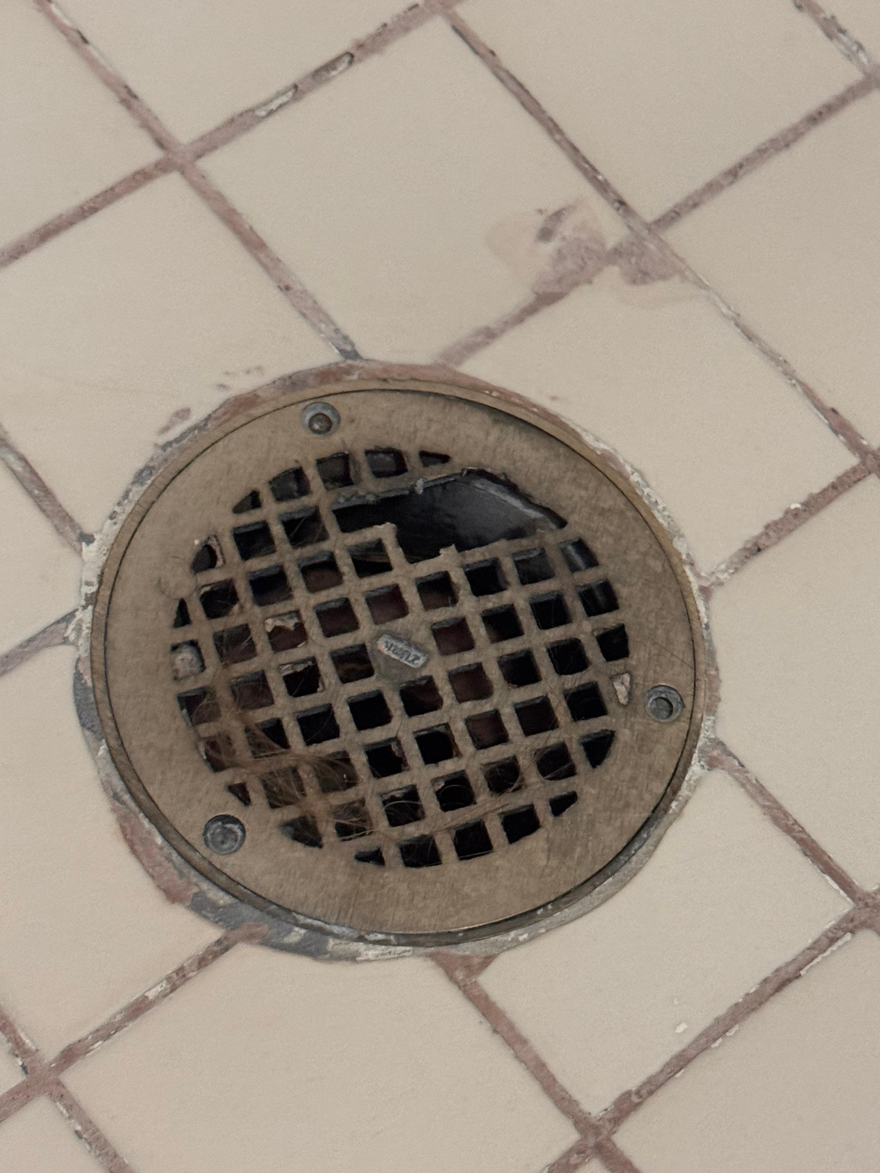 Hole in shower drain
