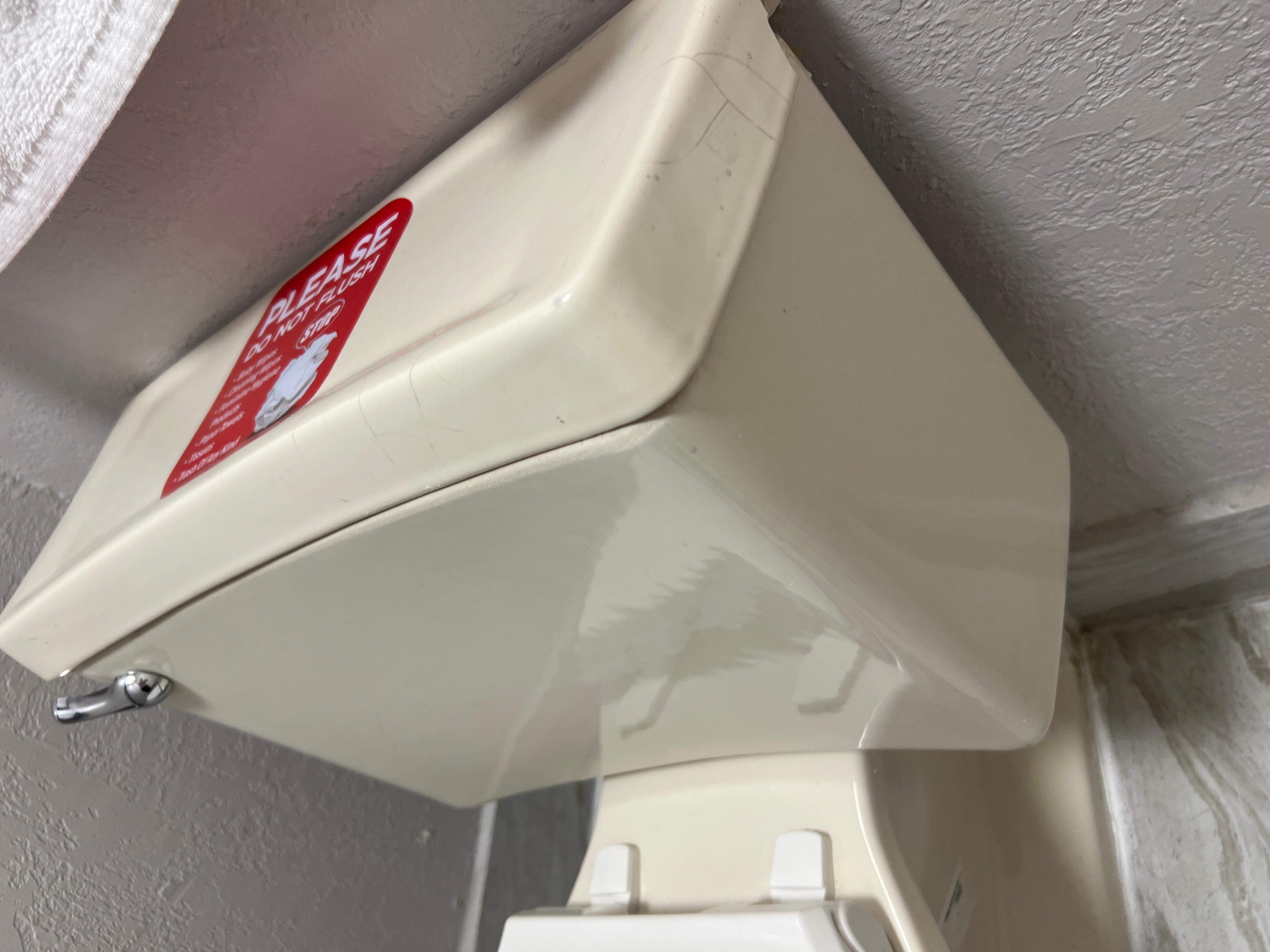 Busted lid propped on commode 