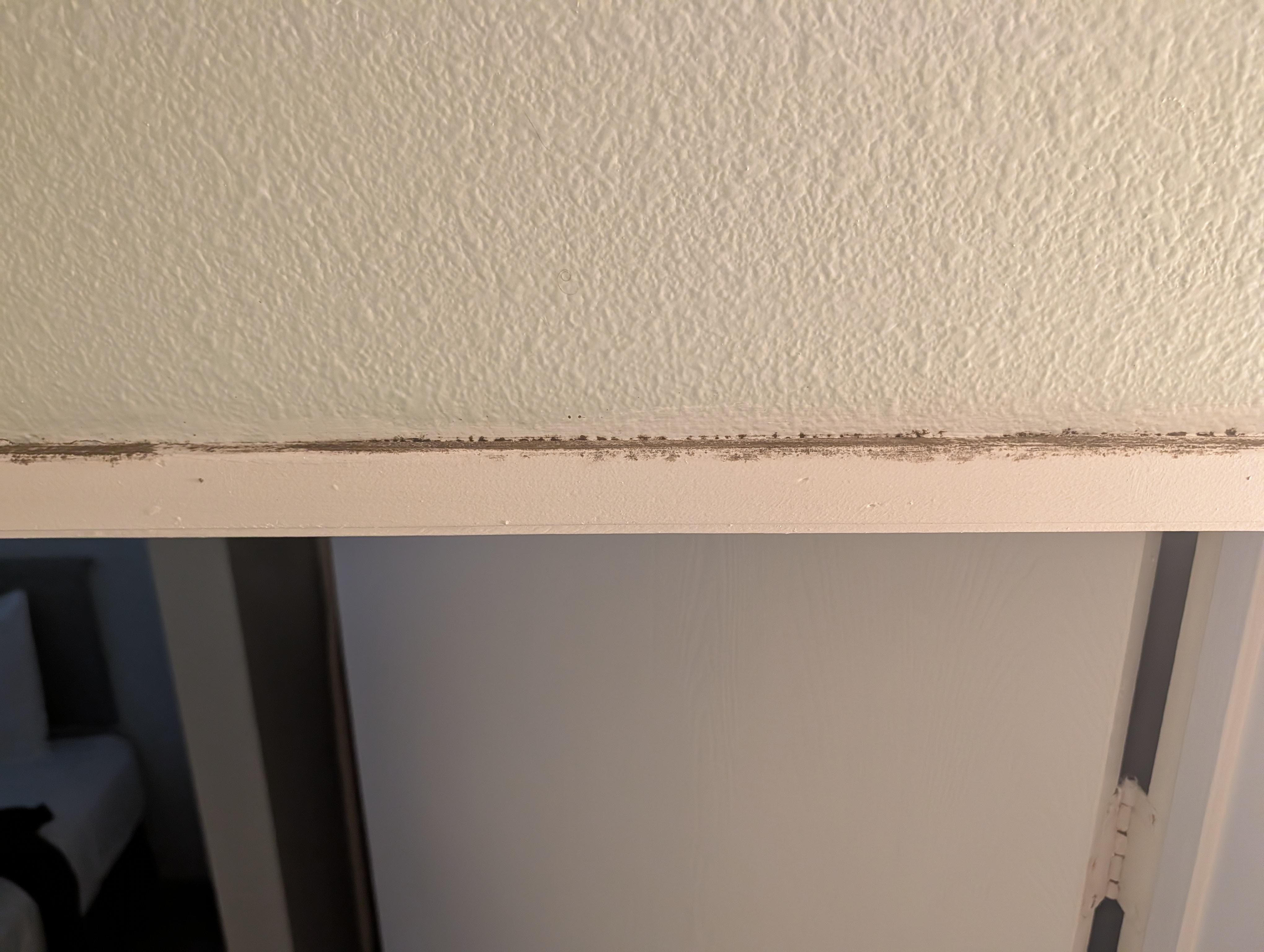 Possible mold on bathroom door frame