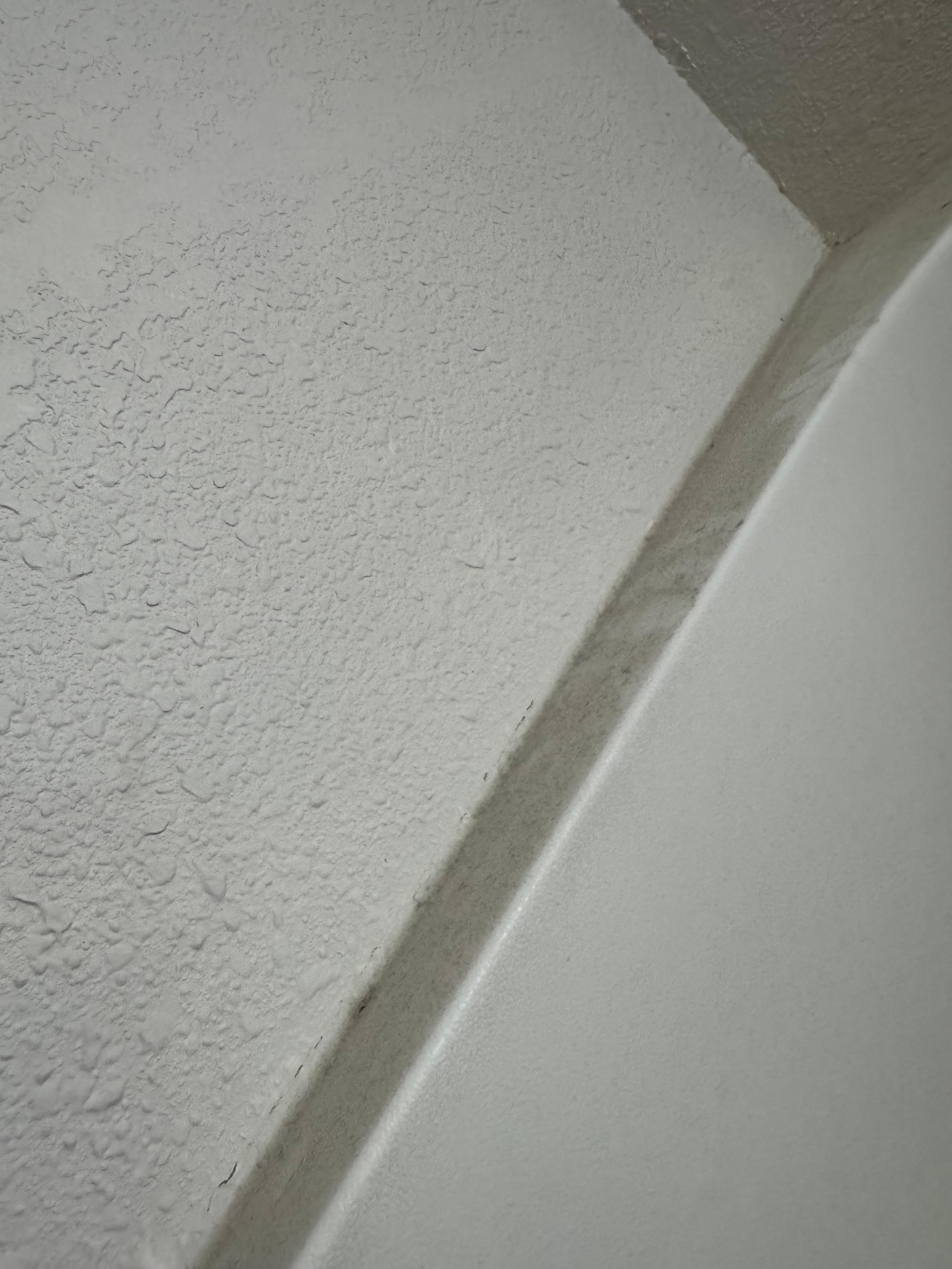 Dust on the shower rail on the other side 