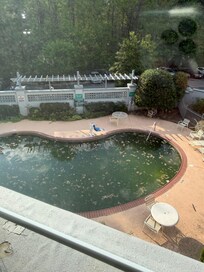 The pool