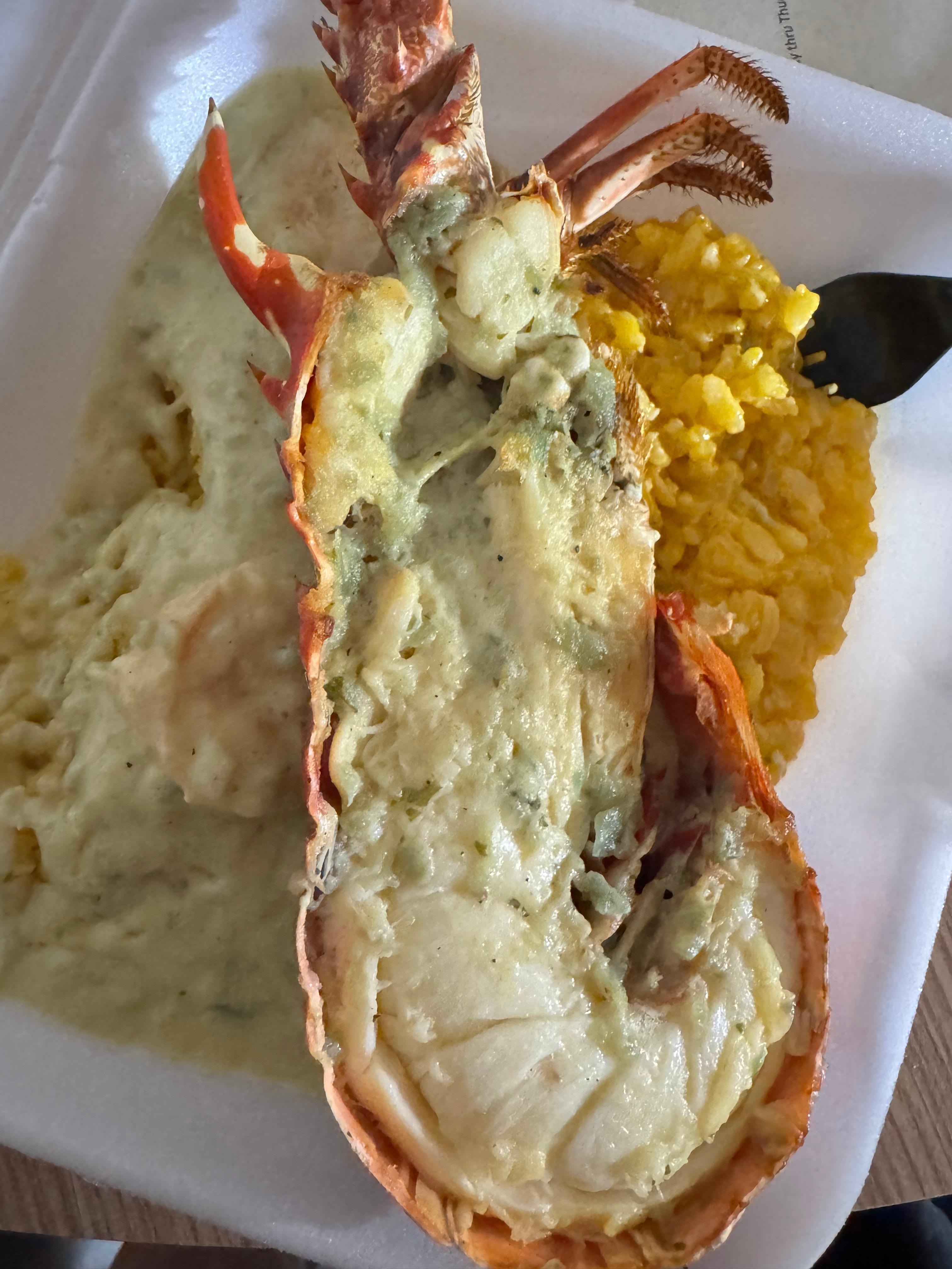 Dinner lobster and seafood risotto 
