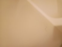 Hair on shower walls