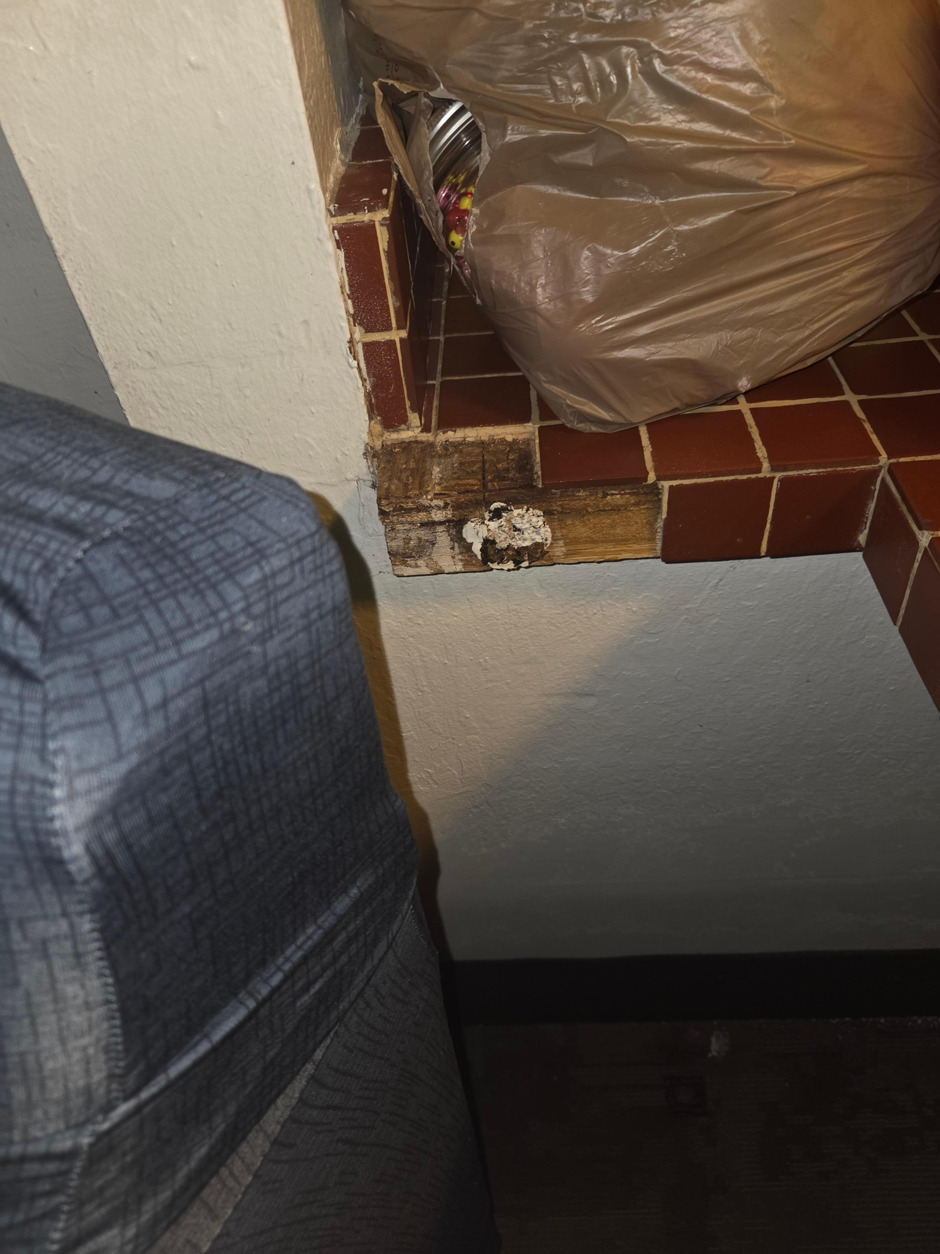 Tile ripped off from the counter 