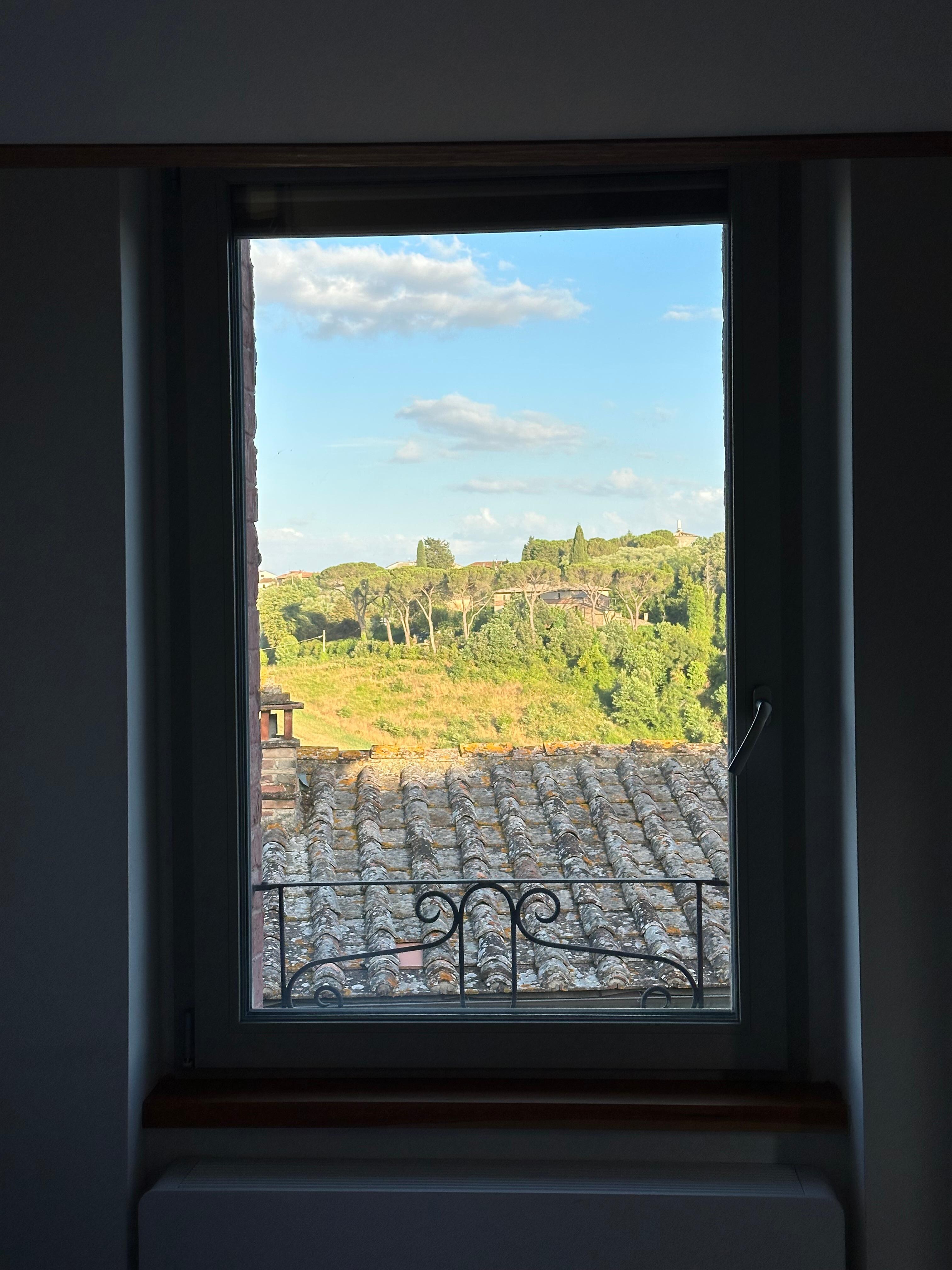 View from the room