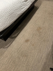 Stains in the carpet
