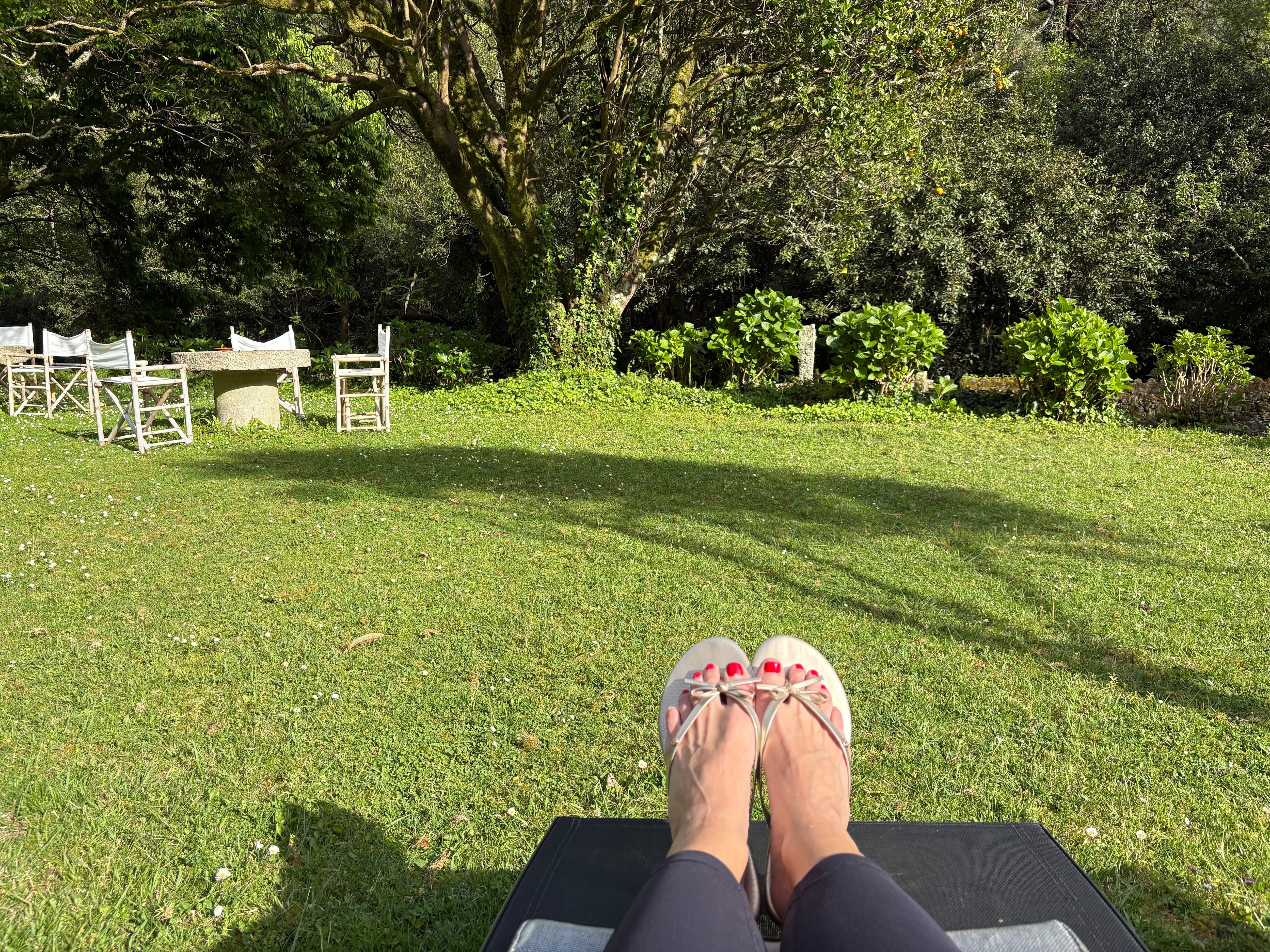 The view from a lawn chair