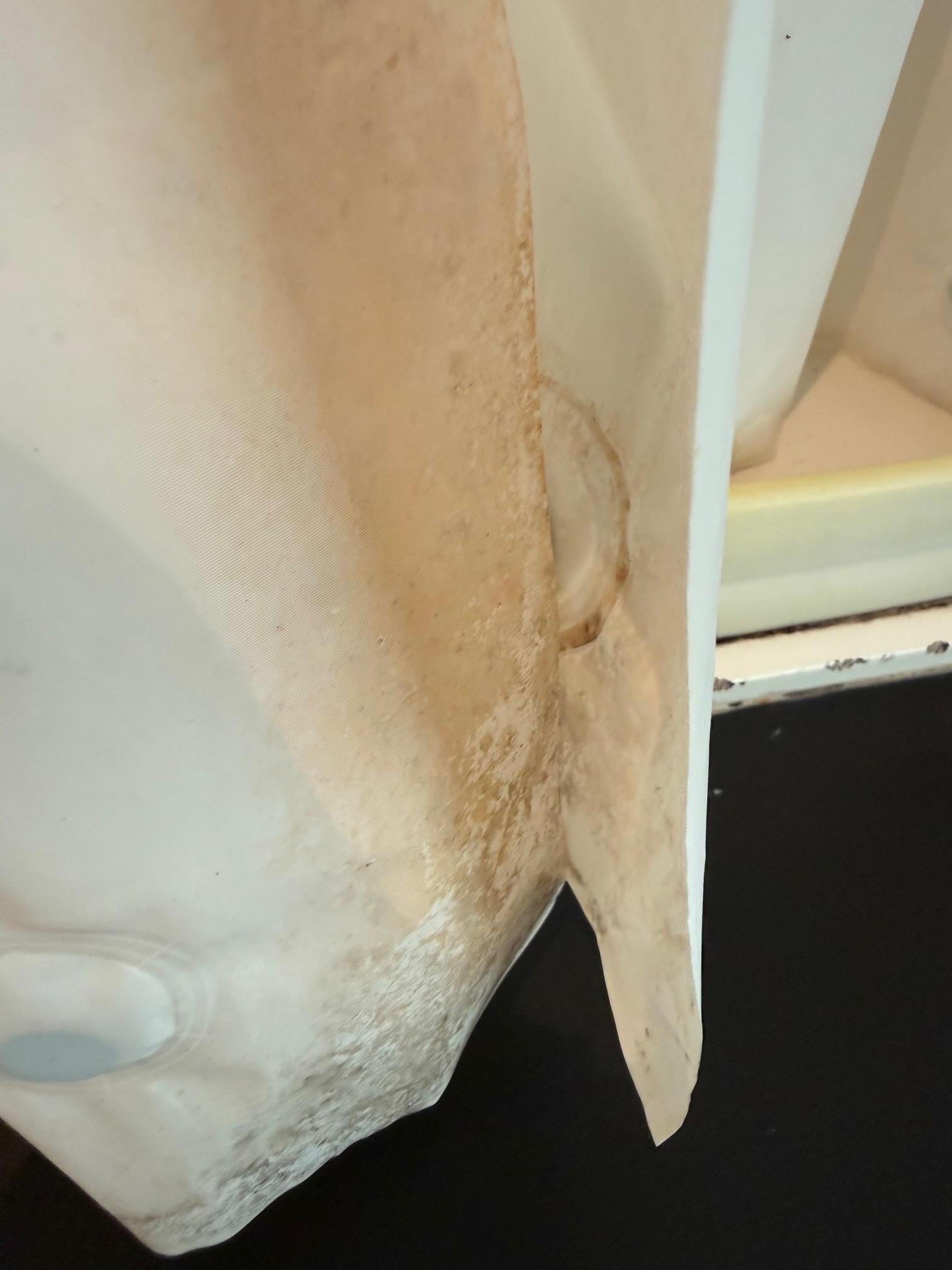  Moldy shower curtatin