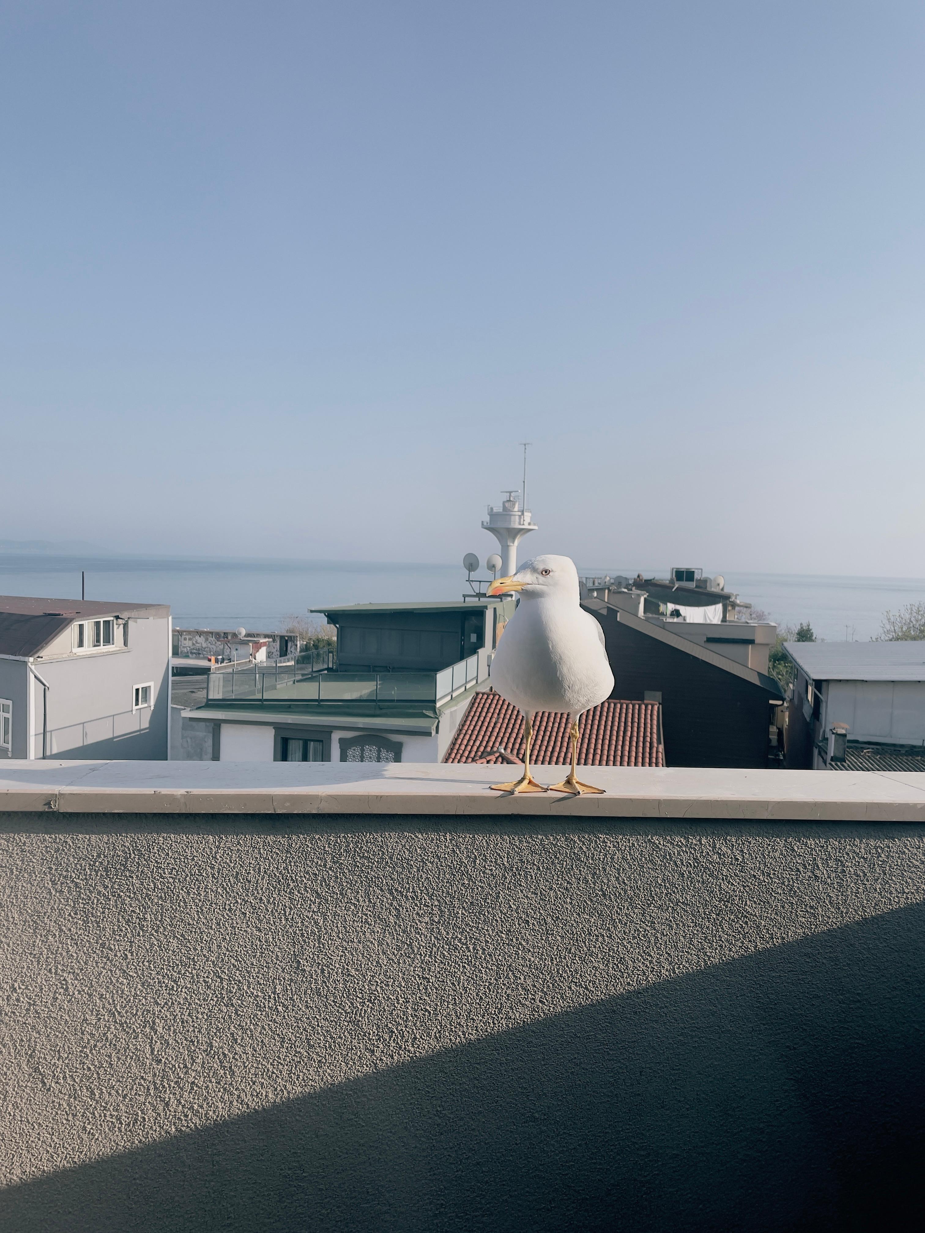 The view from the balcony 