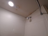 Mold and leaks with roof holes