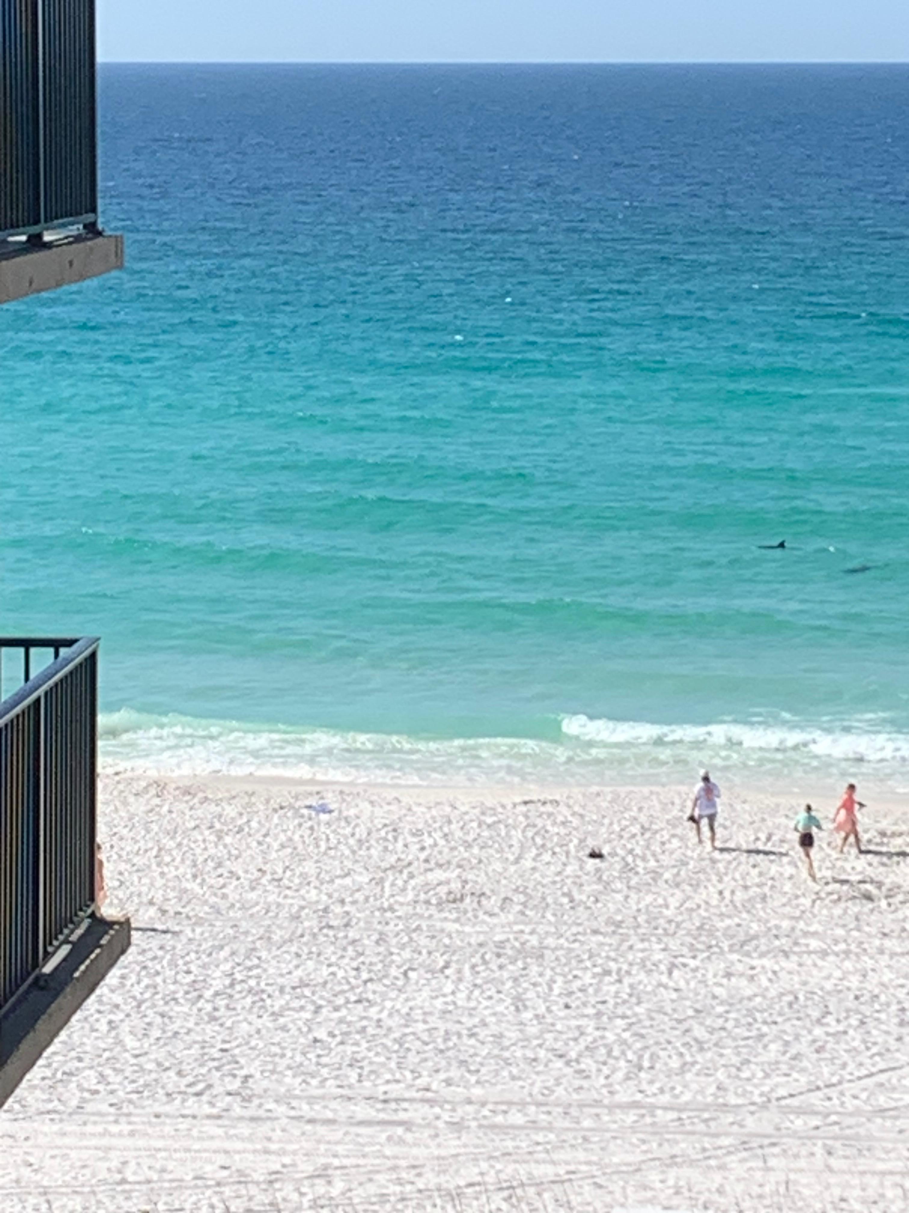 Out our balcony. If you look close you can see dolphins also. Look straight ahead of the people walking on the beach 
