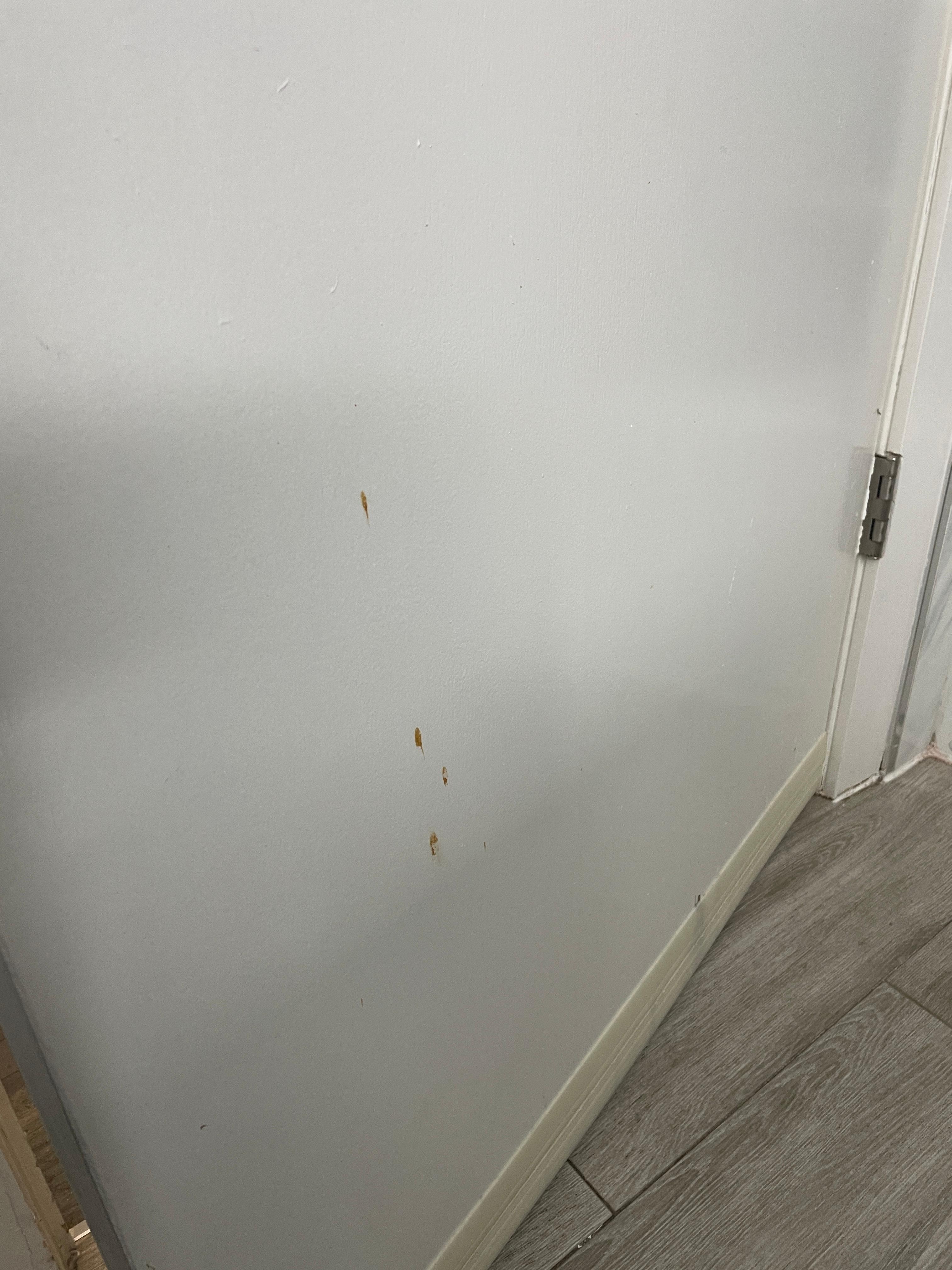 Brown splatter on door