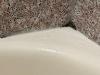 Heavy mildew accumulation in and around tub.