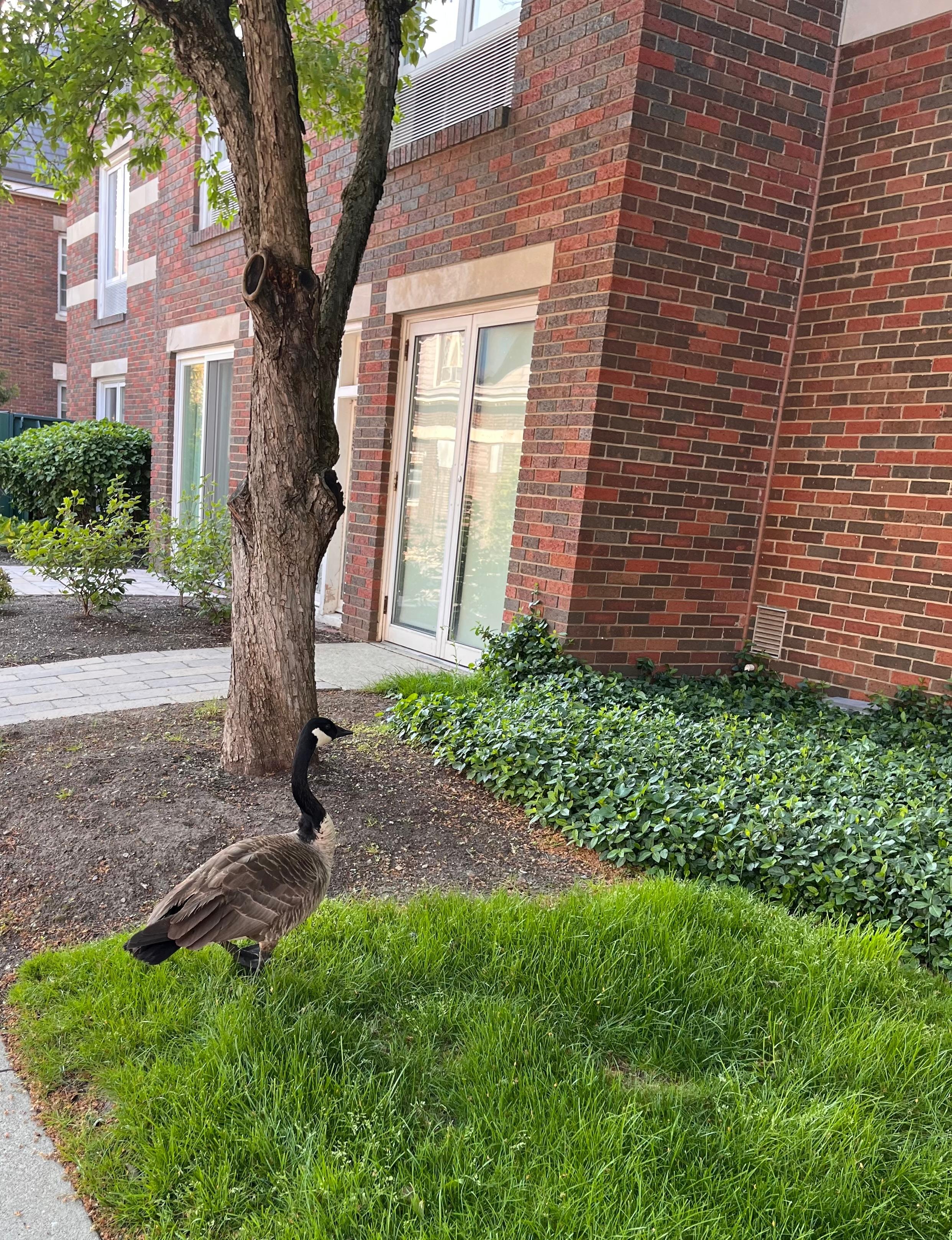 Side of the hotel building across from the parking area