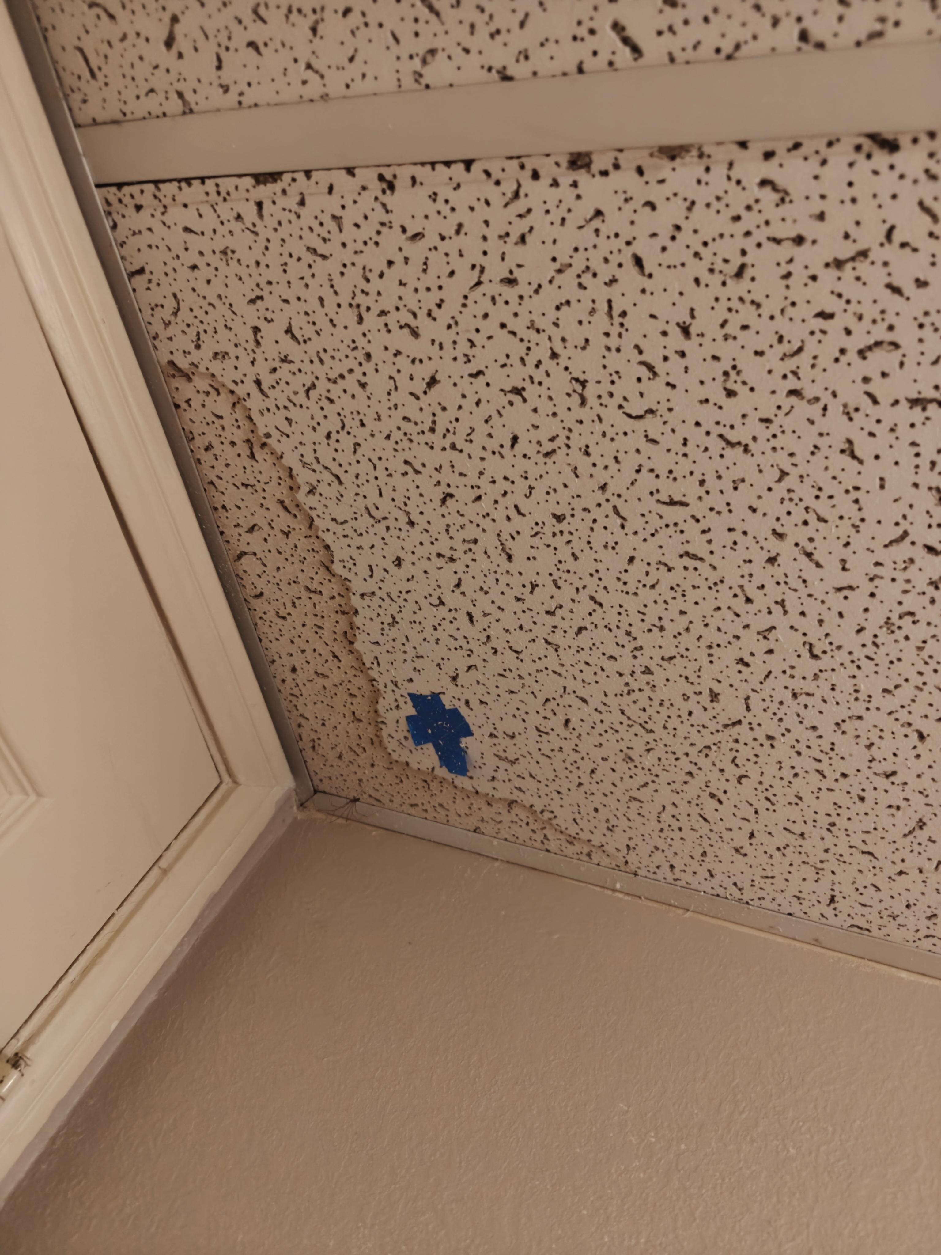 Ceiling 