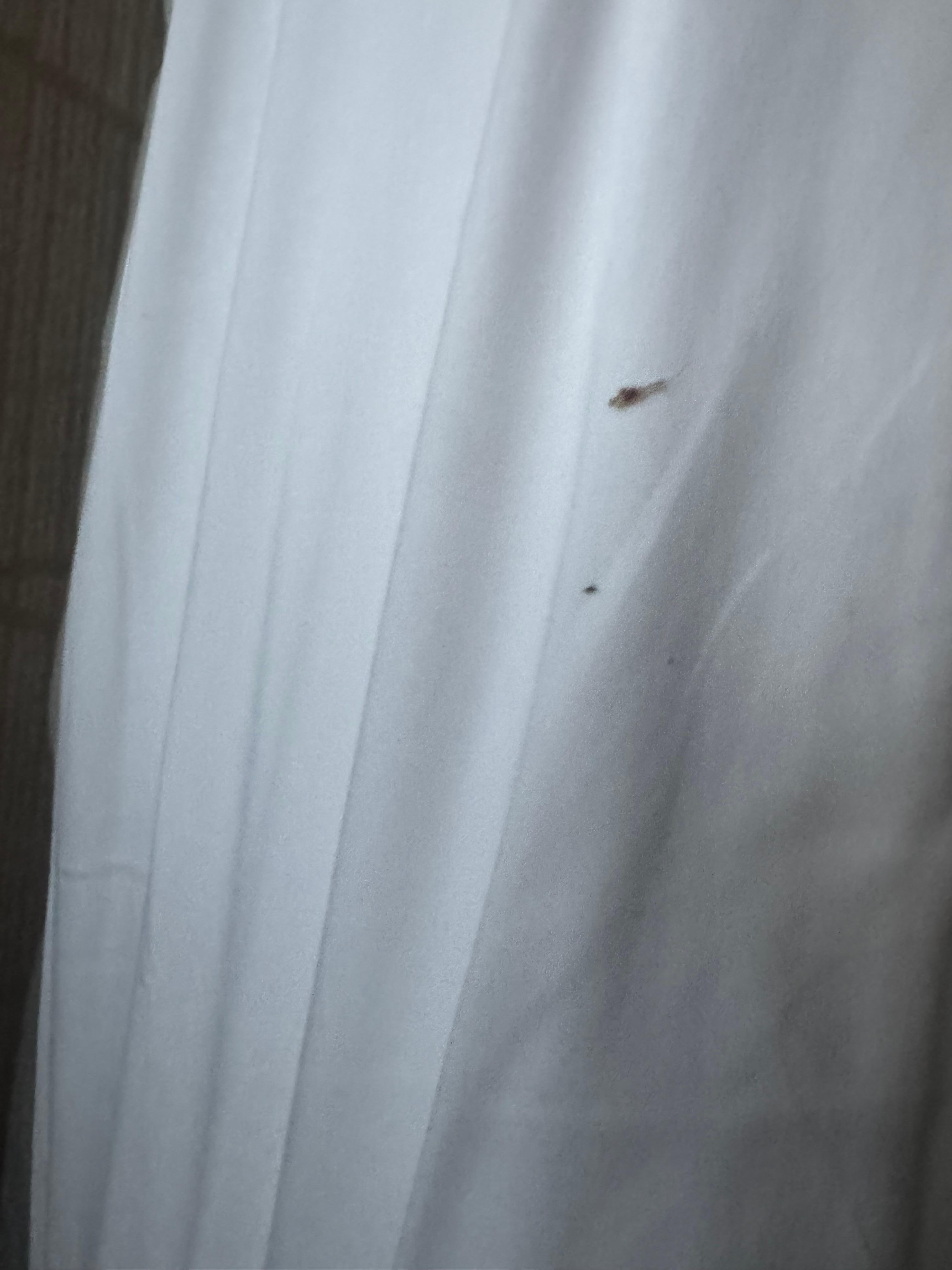 Example the bed cover stained 