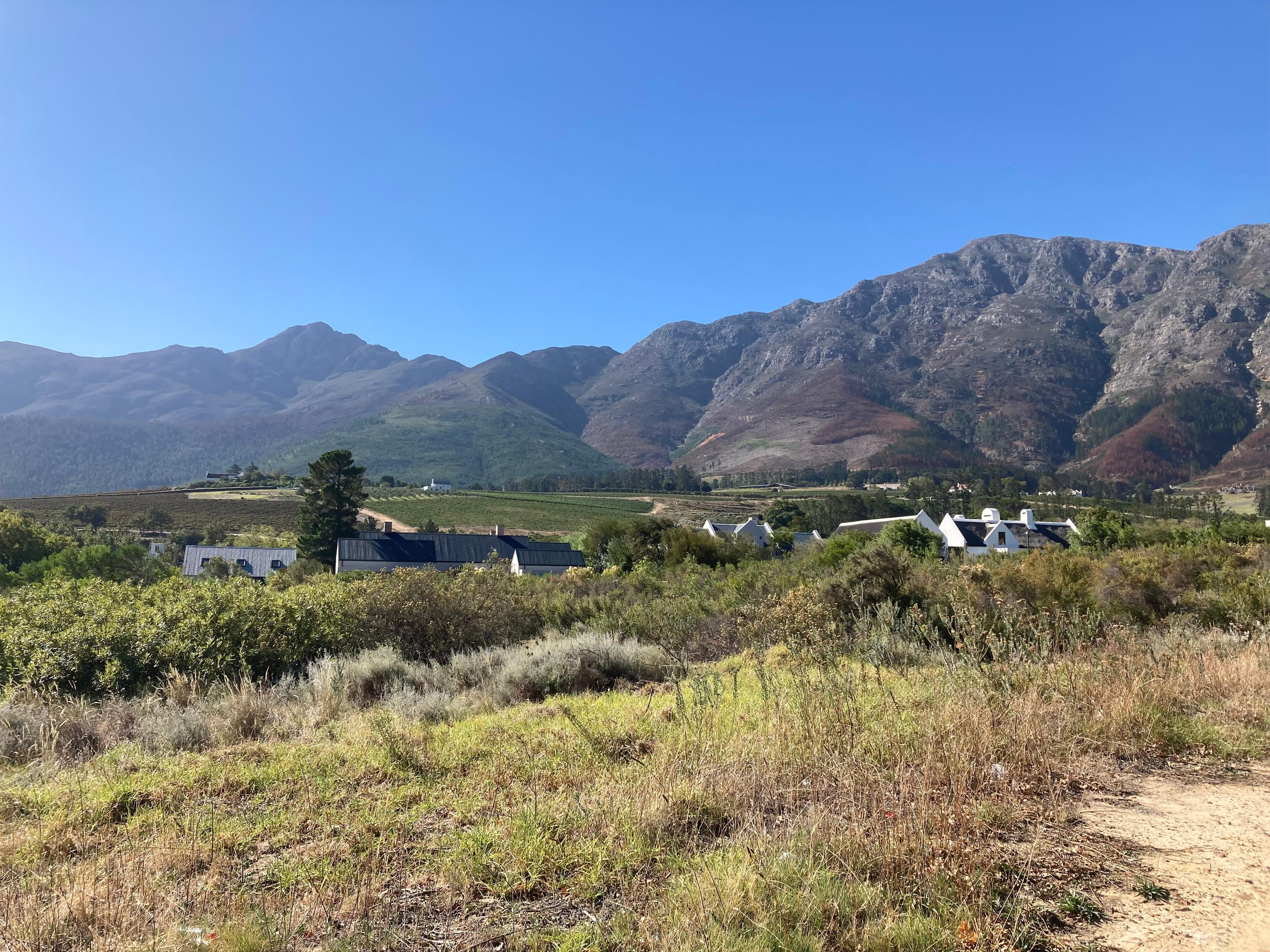 This is the view immediately across from the hotel. 