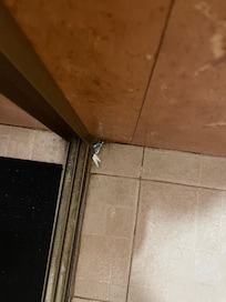 Basura en el baño y también cabellos al entregar la habitación.