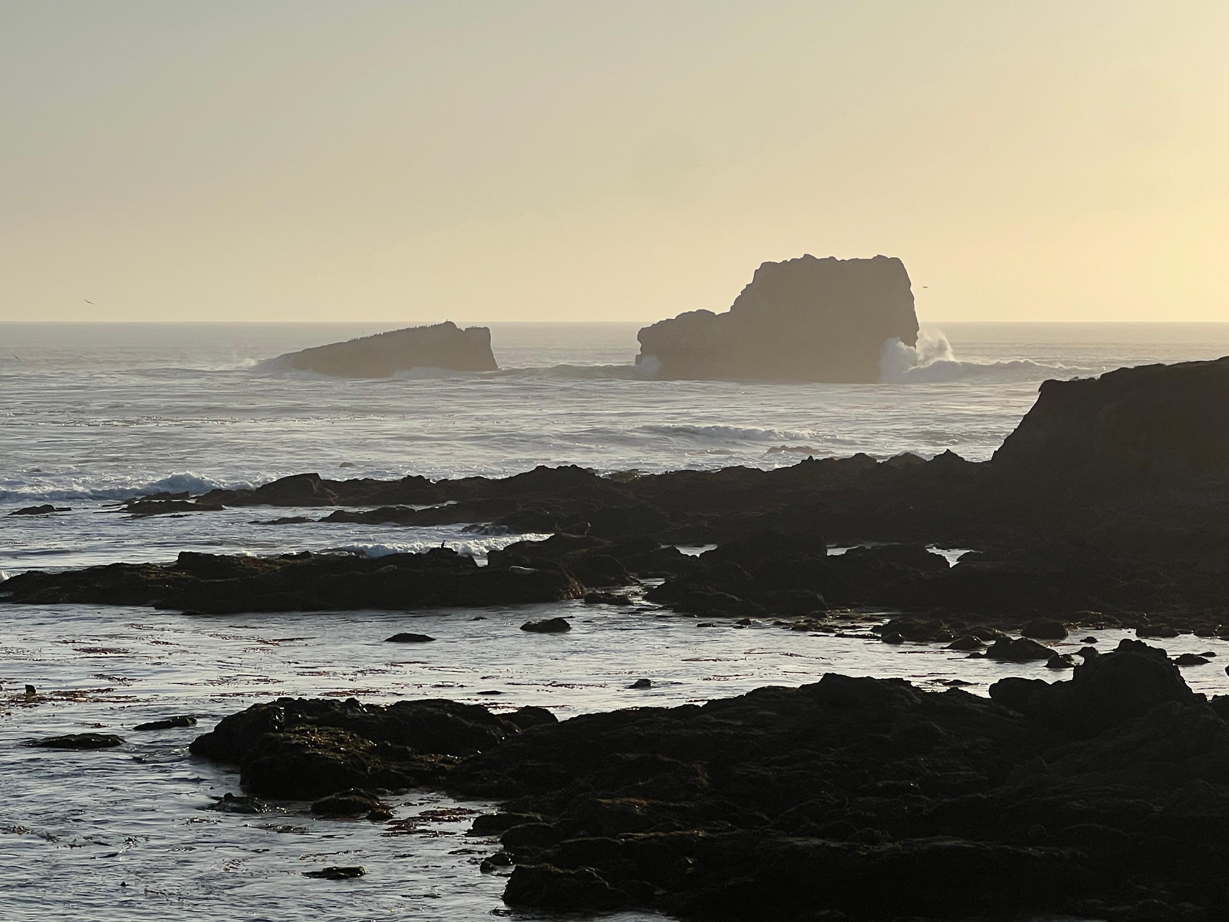 View from Sea Lion cove