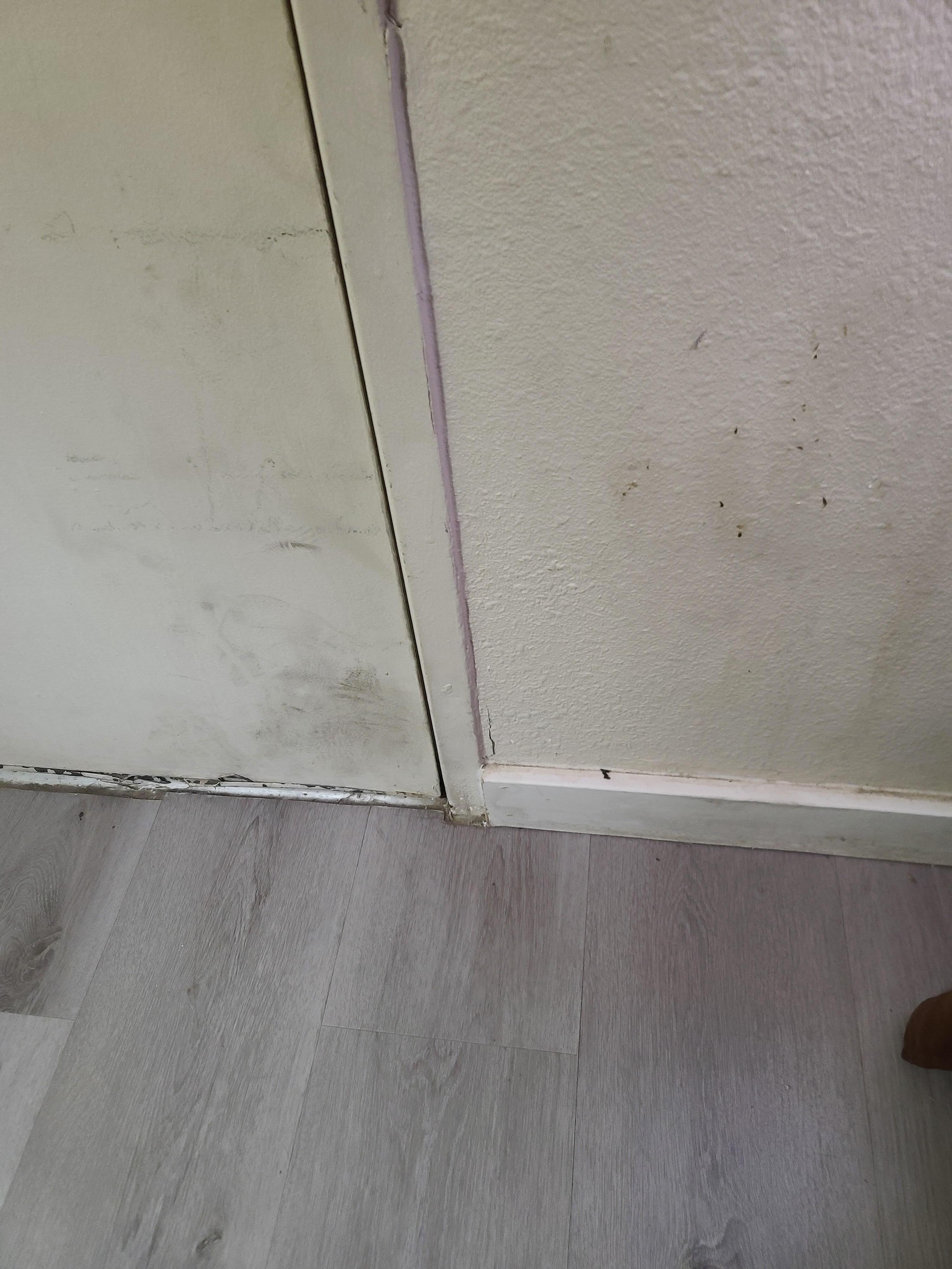 Most of the walls looked like this, just scuffed and dirty.