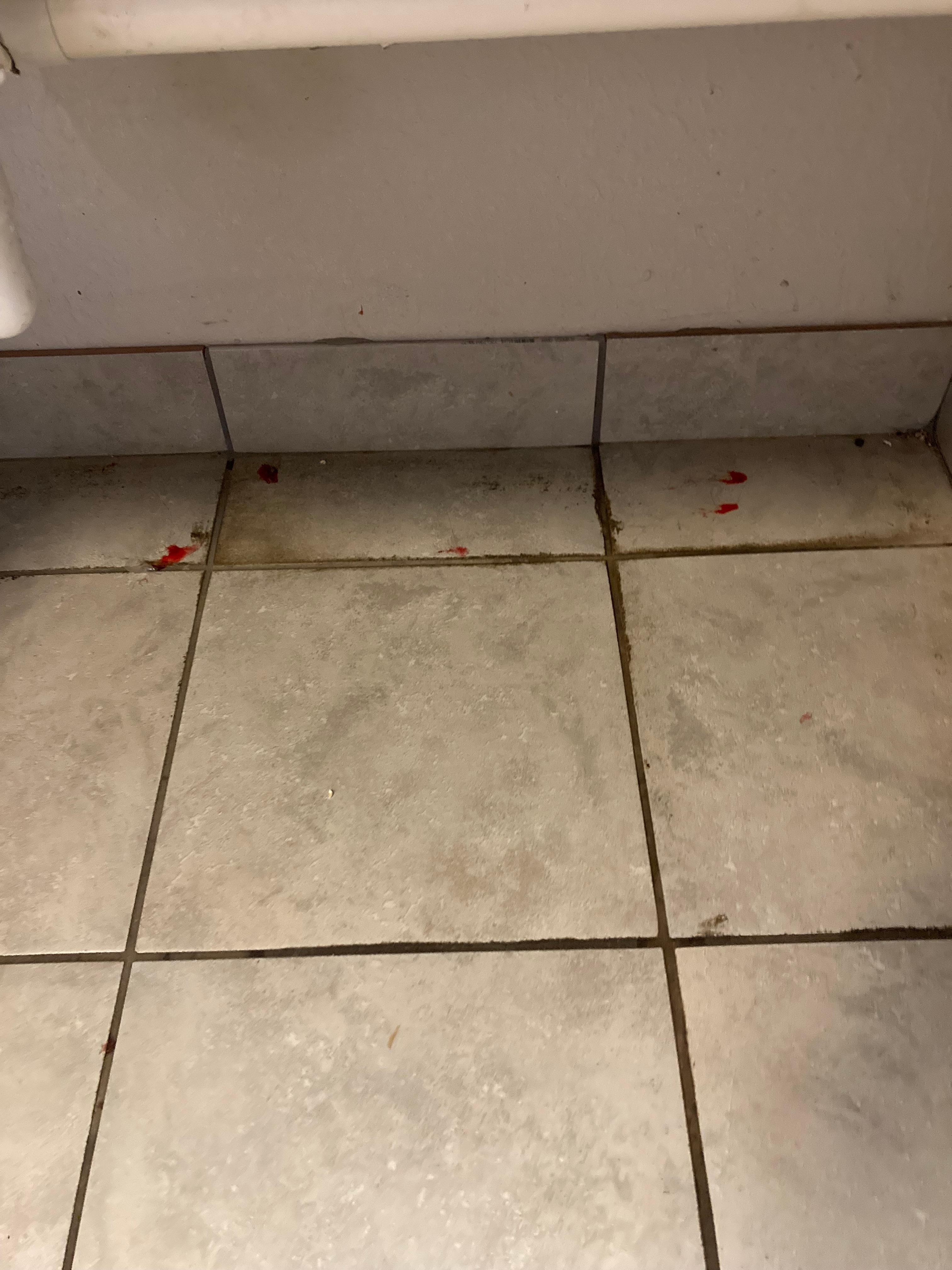 Trash and dirt and unknown substances under the sink