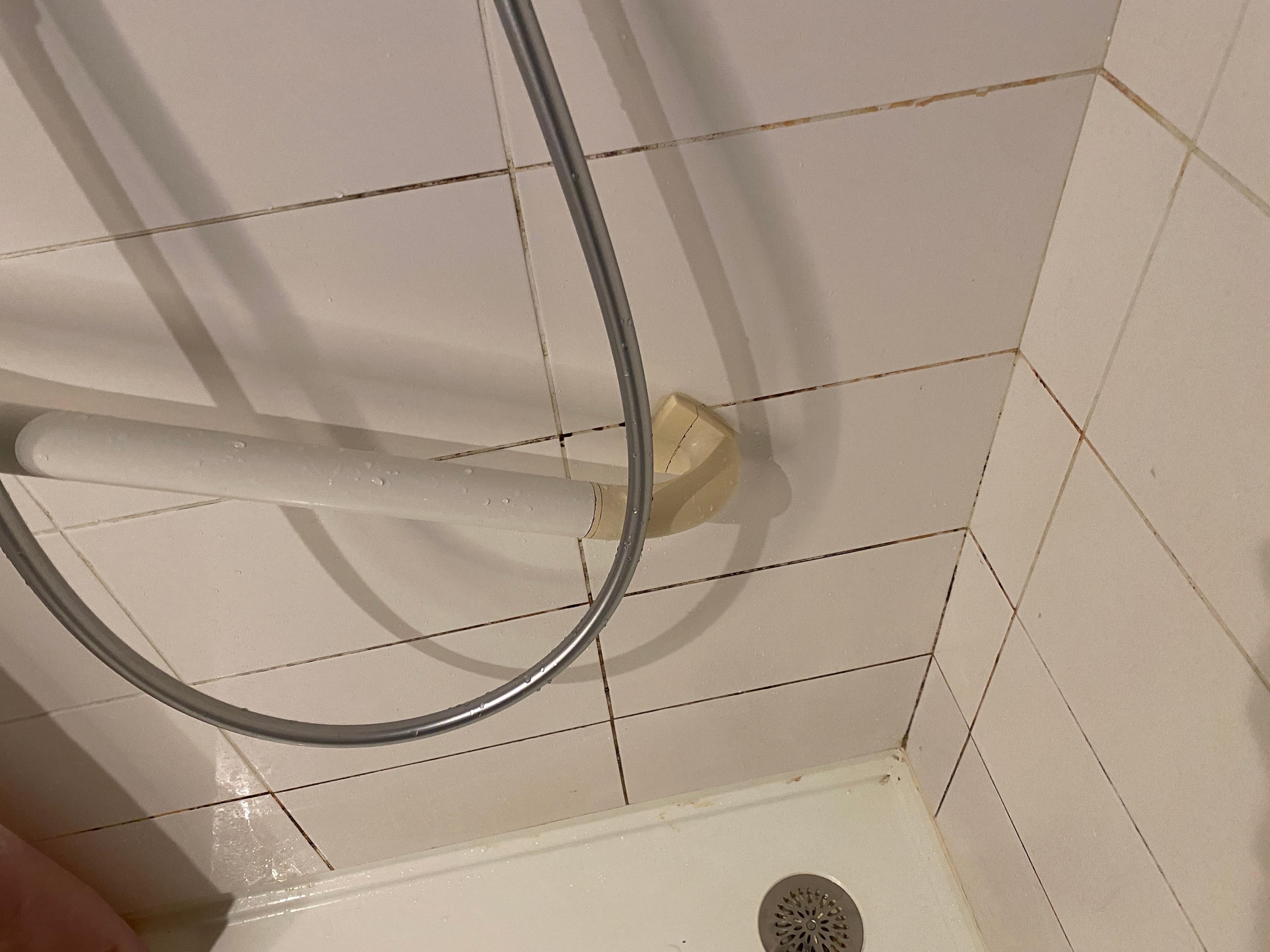 Il faut du courage pour prendre une douche !