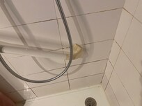 Il faut du courage pour prendre une douche !