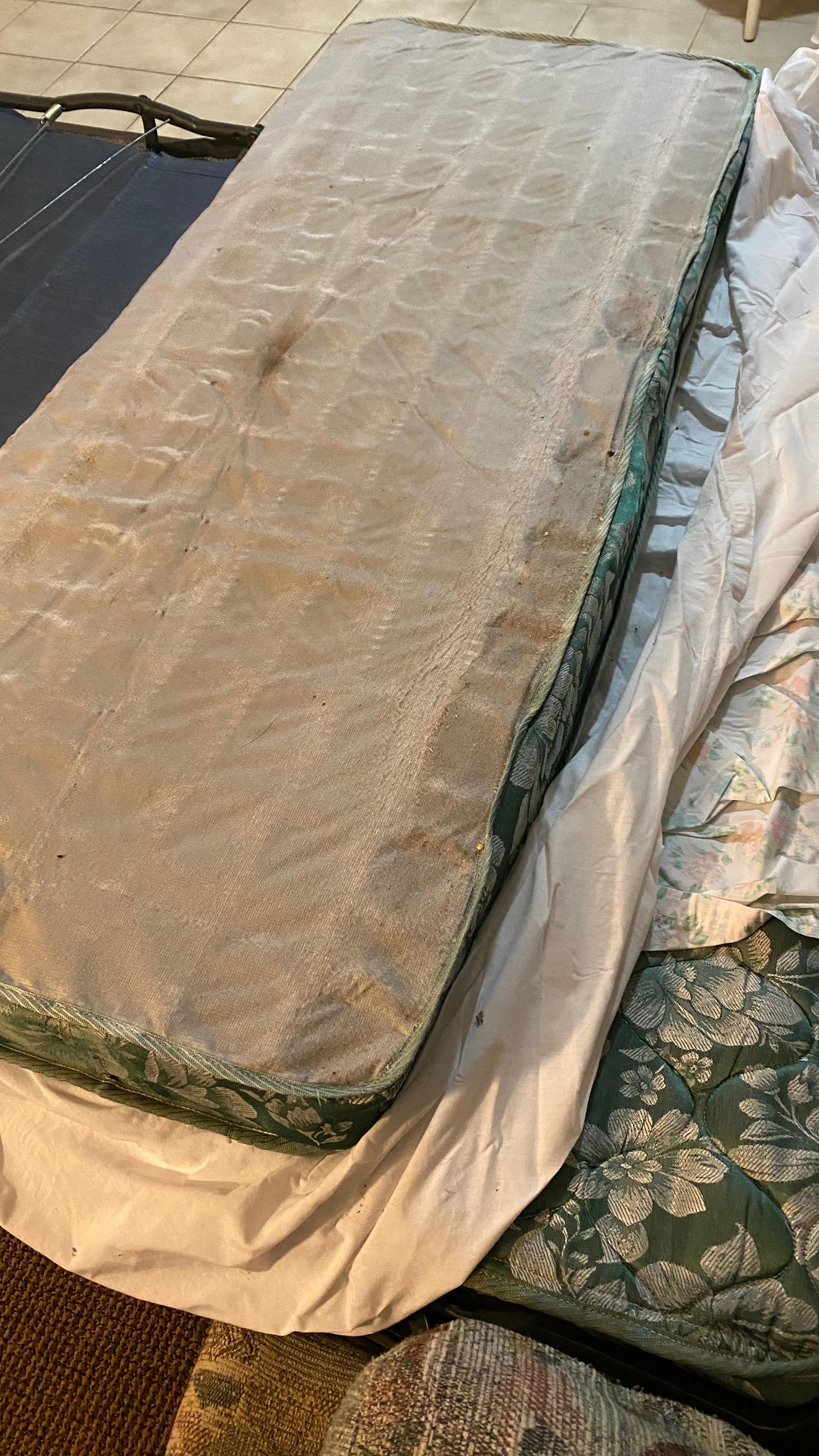Flip side of Sofa Mattress was Moldy