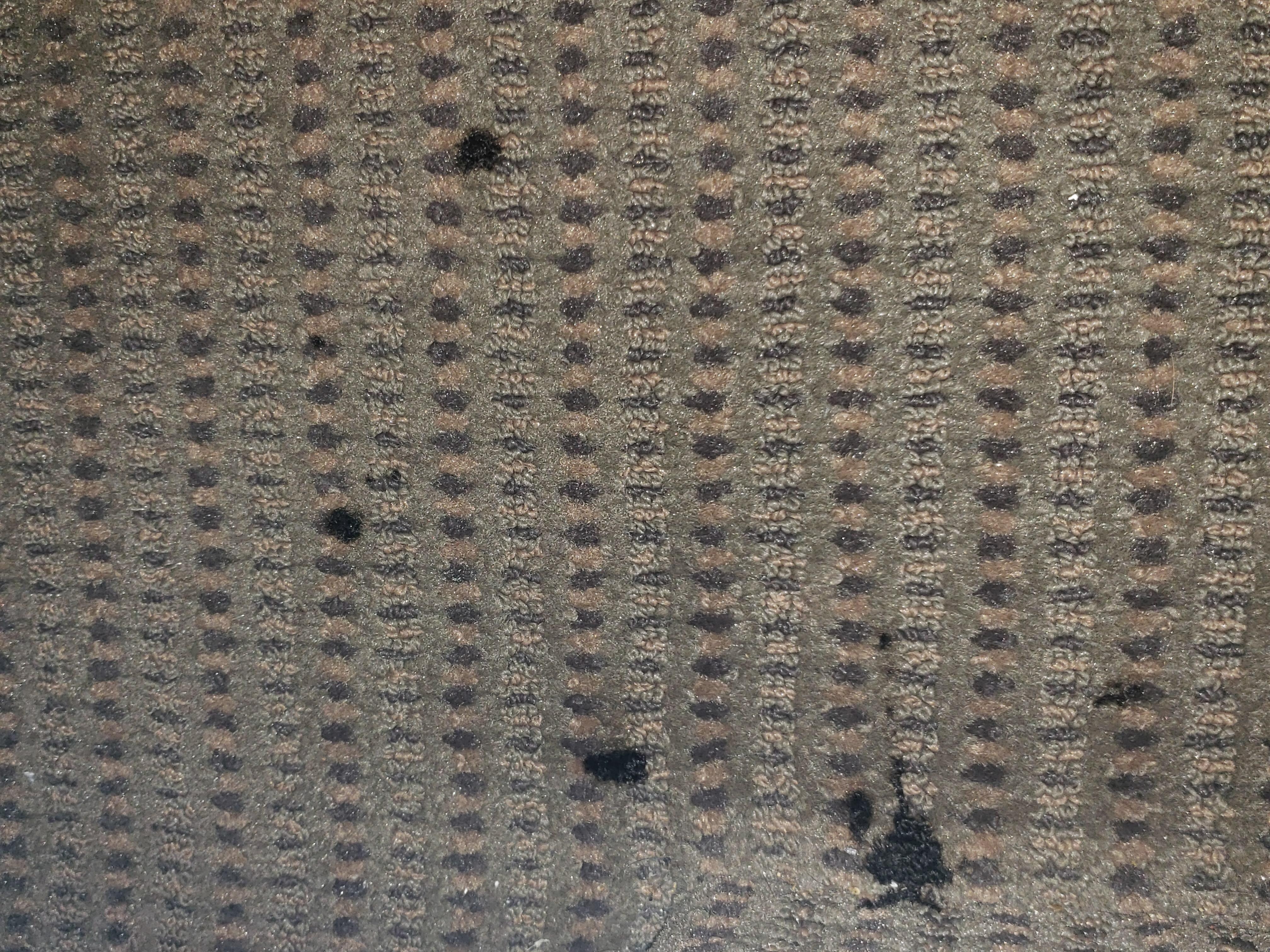 Carpet stain near bed and sink dark red brown looks like blood