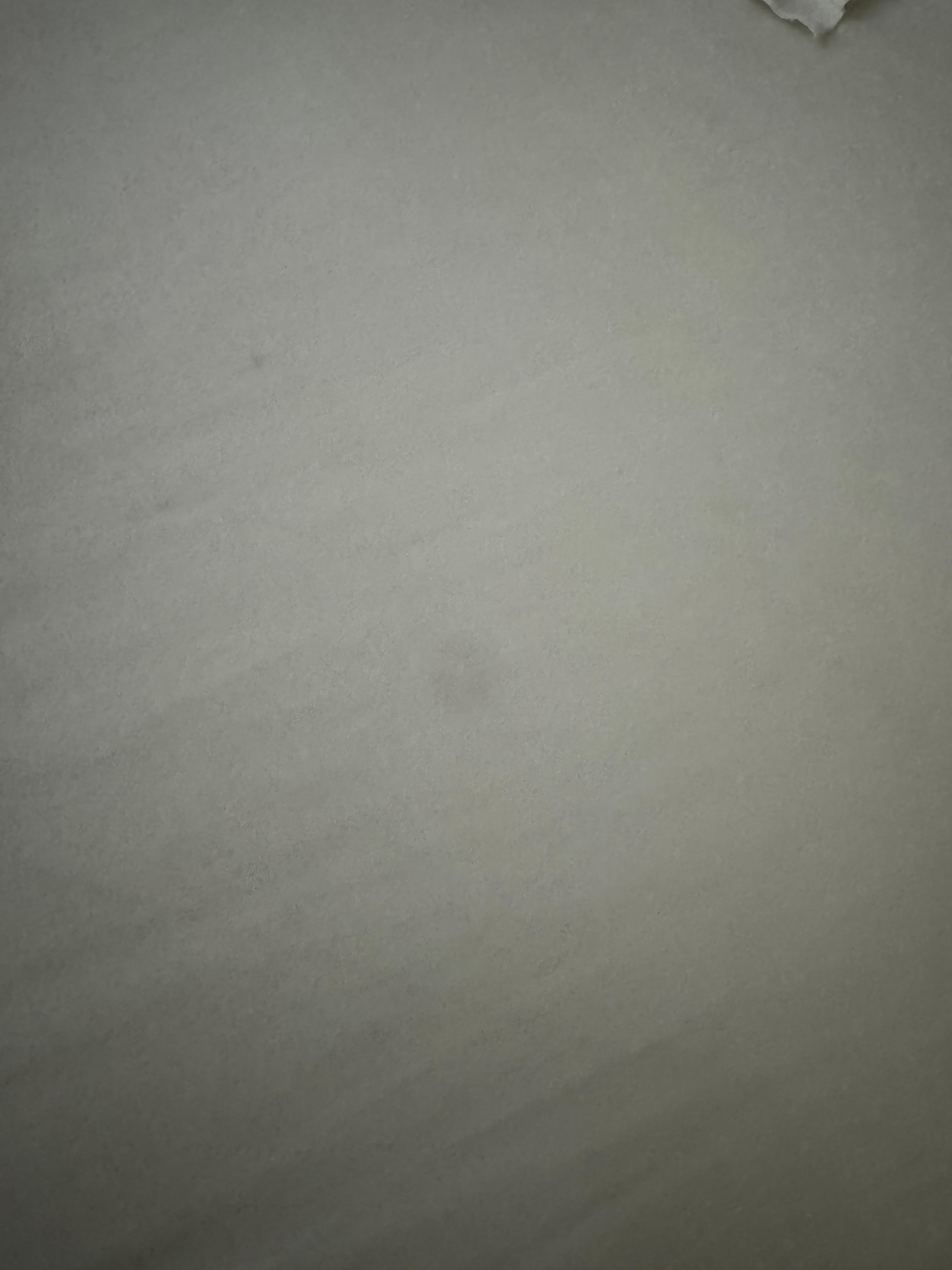 Sheets (only 1 of the 2 beds, didn’t uncover the 2nd)