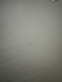 Sheets (only 1 of the 2 beds, didn’t uncover the 2nd)