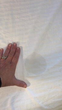 One stain on the top of the bedding