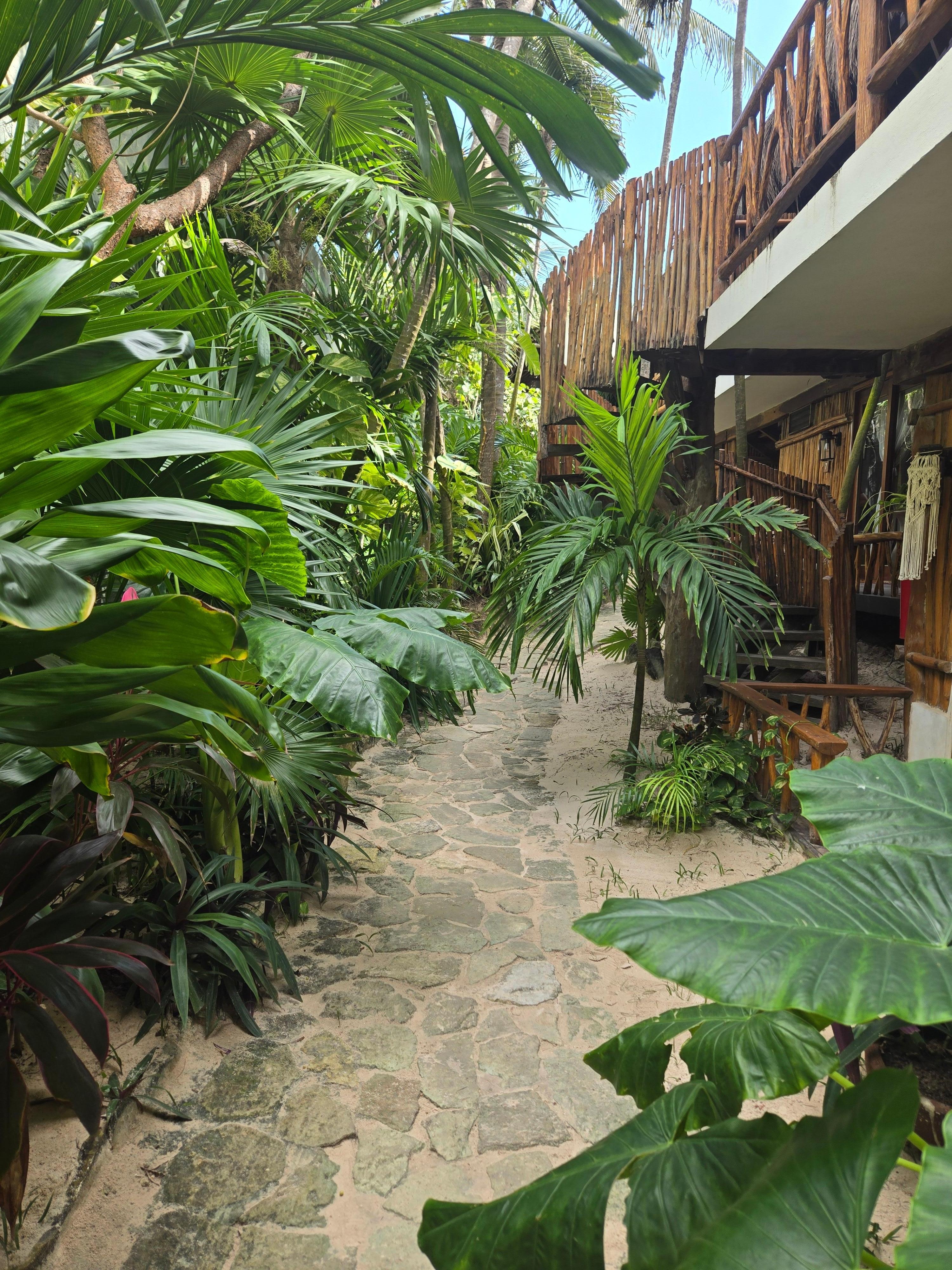 Walkway to rooms & beach
